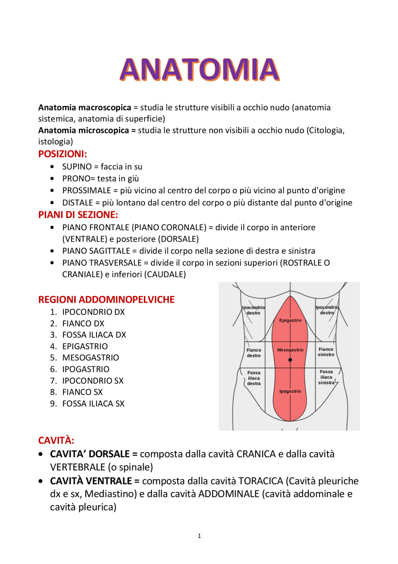 Riassunto Anatomia Per Corso Di Laurea Infermieristica Appunti Di