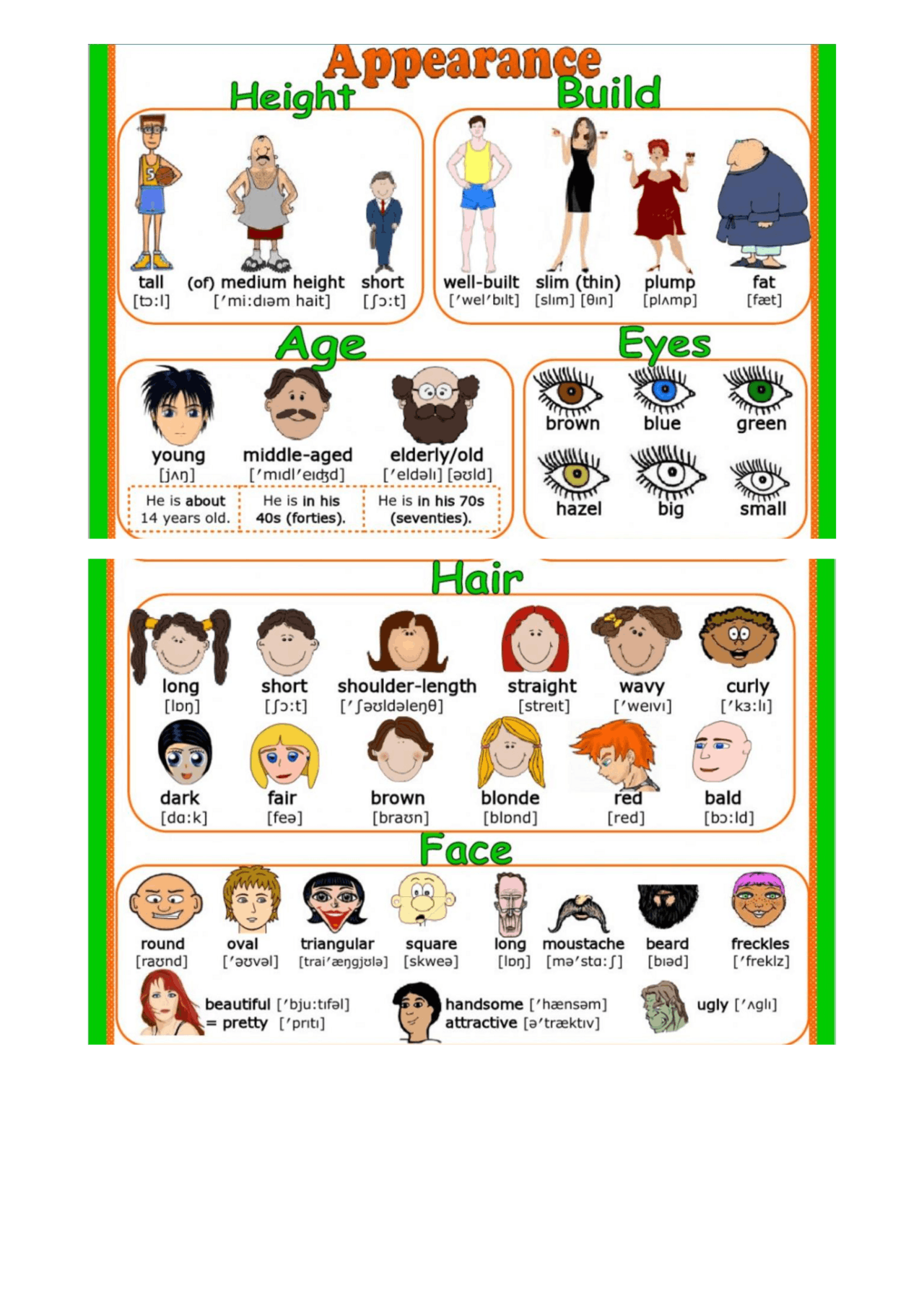 Appearance and body description | Schemi e mappe concettuali di Inglese ...