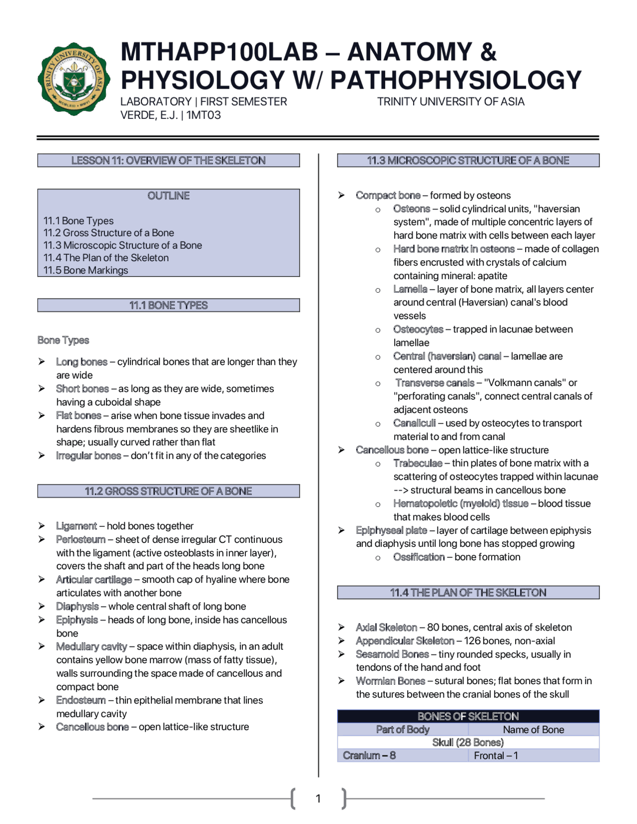 Lab 11: Overview of the Skeleton | Lecture notes Anatomy | Docsity