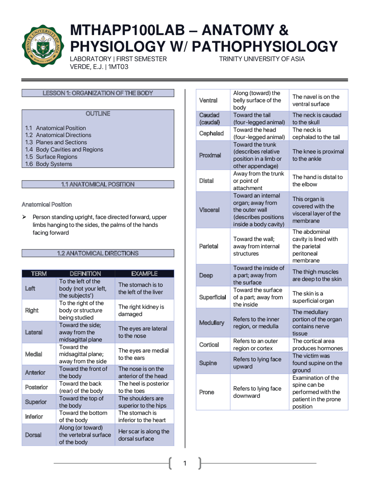 Lab 1 Organization Of The Body Lecture Notes Anatomy Docsity