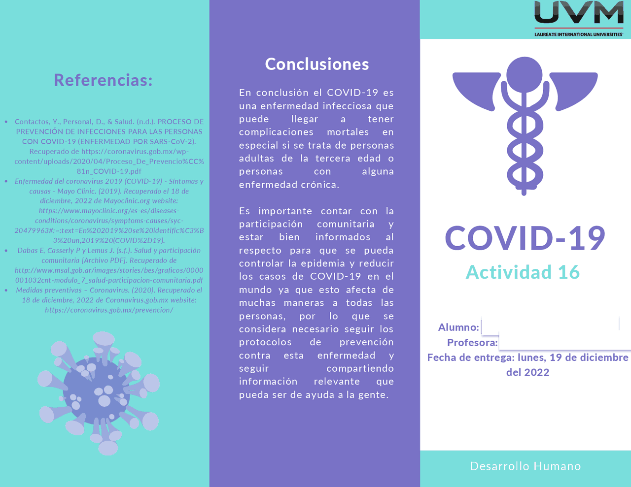 Actividad 16 Tríptico Apuntes De Desarrollo Humano Docsity