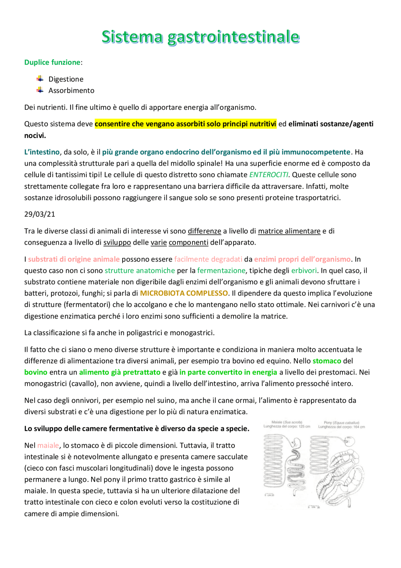 Appunti Fisiologia 2 Appunti Di Fisiologia Docsity