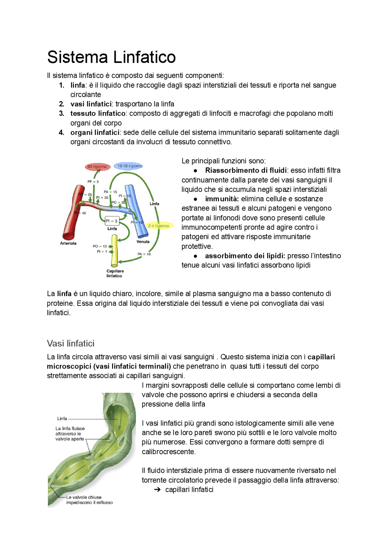 Il Sistema Linfatico Appunti Di Anatomia Docsity