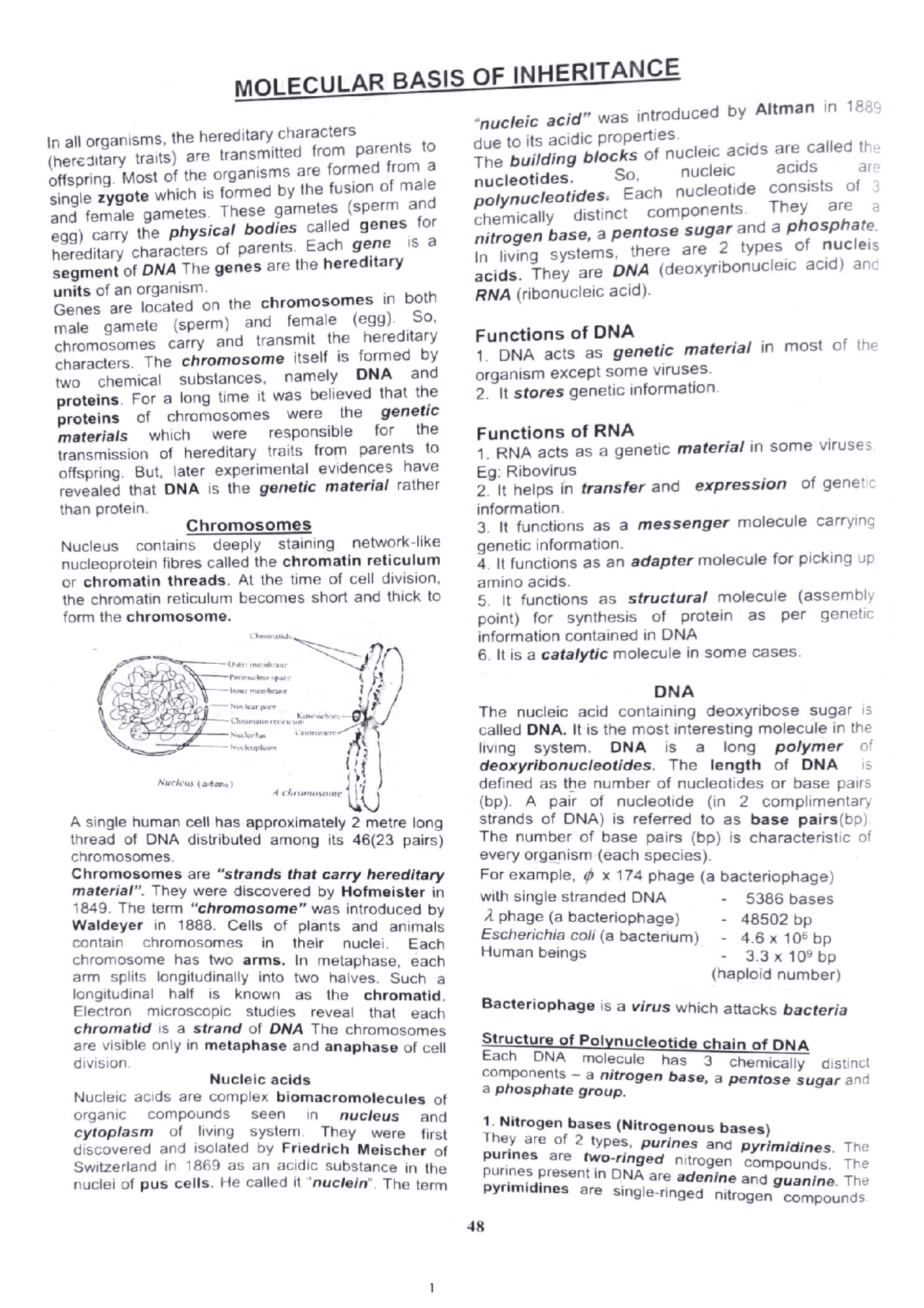 molecular basis of inheritance study notes with MCQ | Study notes ...