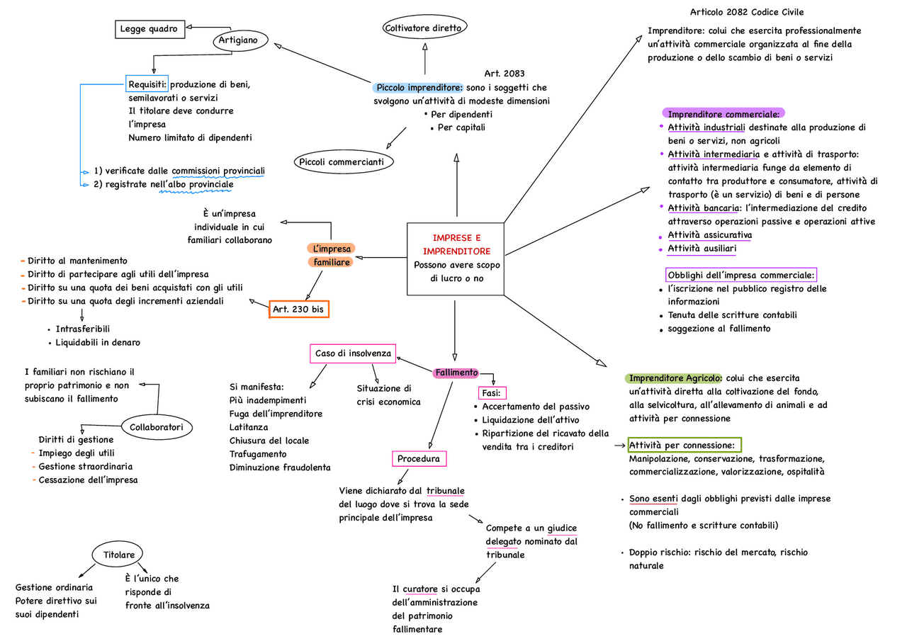 Ho Fatto Lo Schema Dellimprese Schemi E Mappe Concettuali Di Diritto