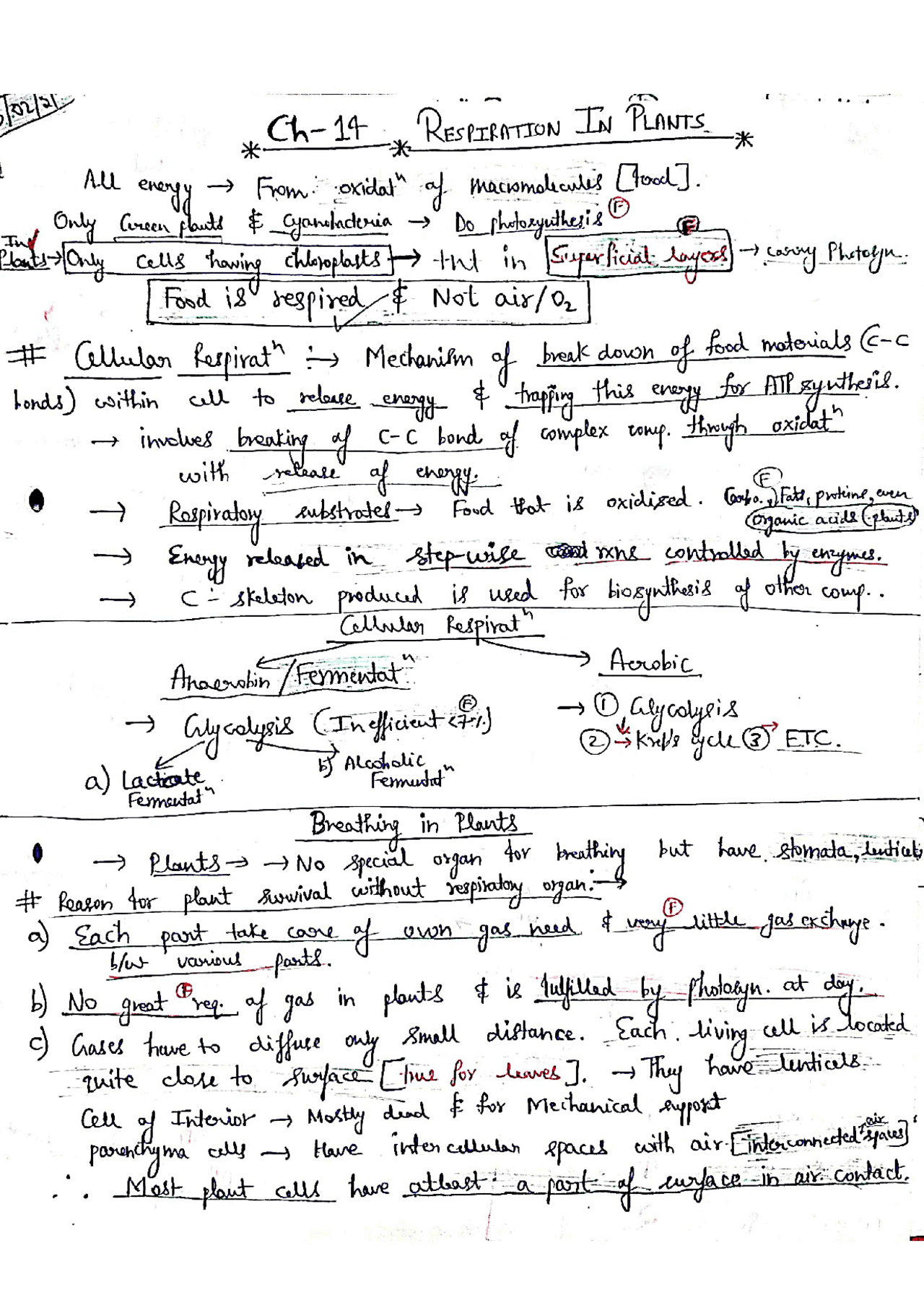 Respiration in plants handwritten notes | Study notes Biology | Docsity
