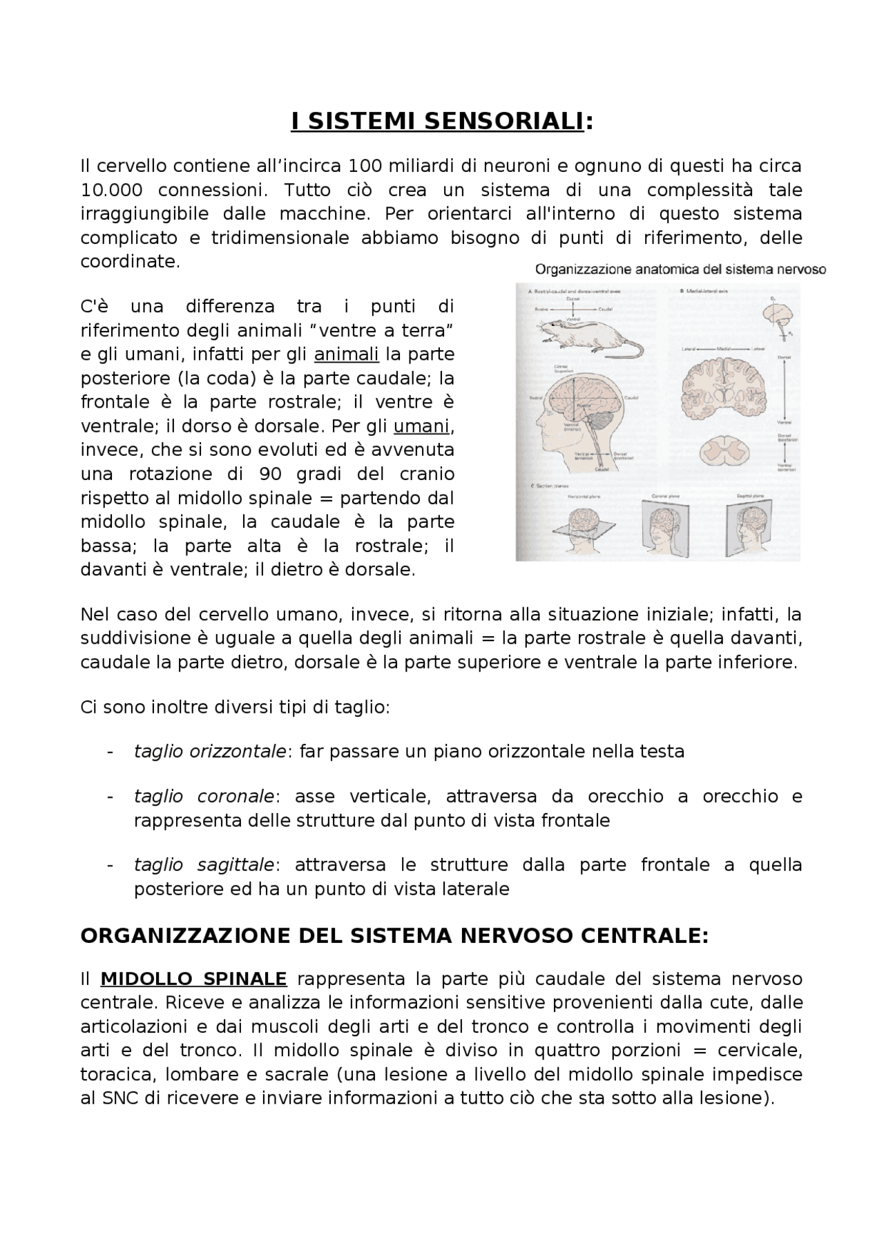 Secondo Modulo Dellesame Di Fondamenti Di Scienze E Tecniche