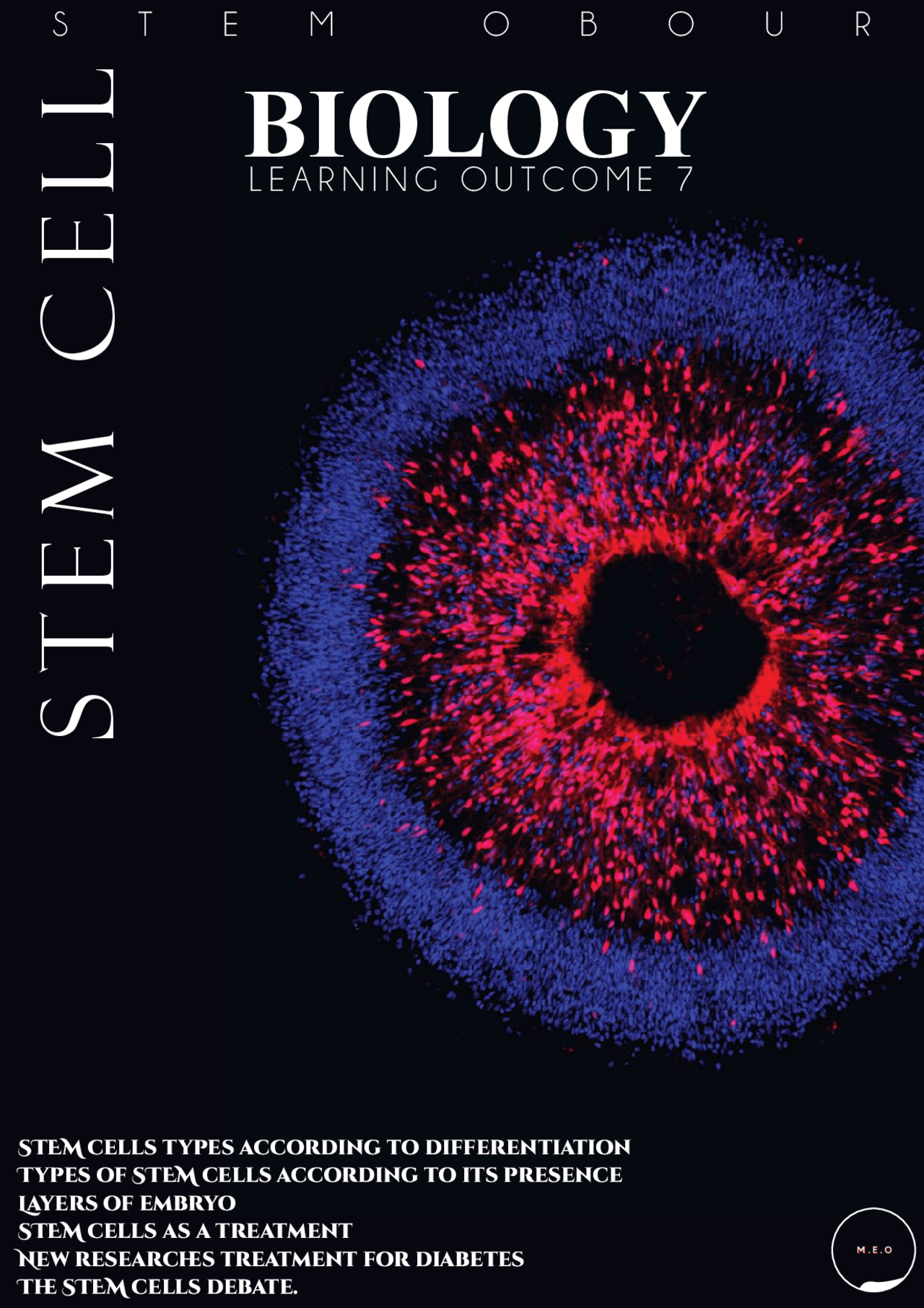 STEM Cells Biology Summary | Schemes and Mind Maps Biology | Docsity