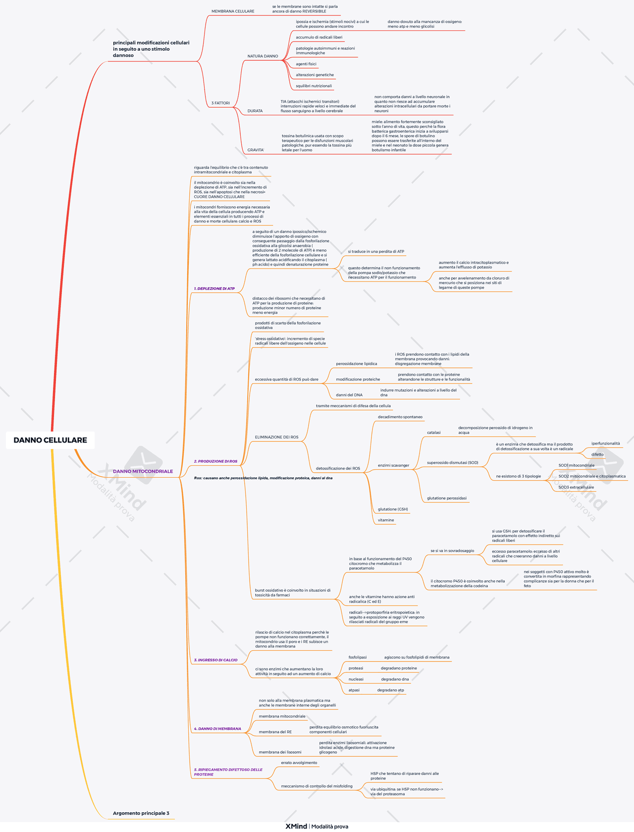 Mappe sintetiche di patologia | Schemi e mappe concettuali di Patologia ...