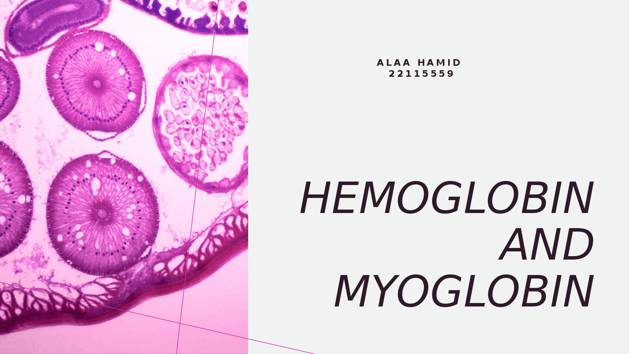 Hemoglobin & Myoglobin | Slides Biochemistry | Docsity