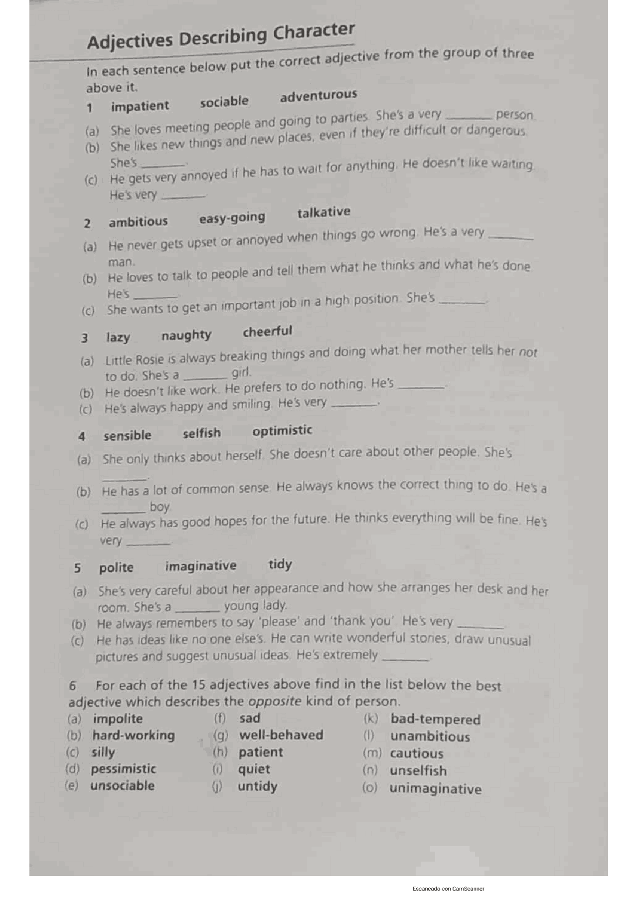 Adjectives Describing Character | Ejercicios de Idioma Inglés | Docsity