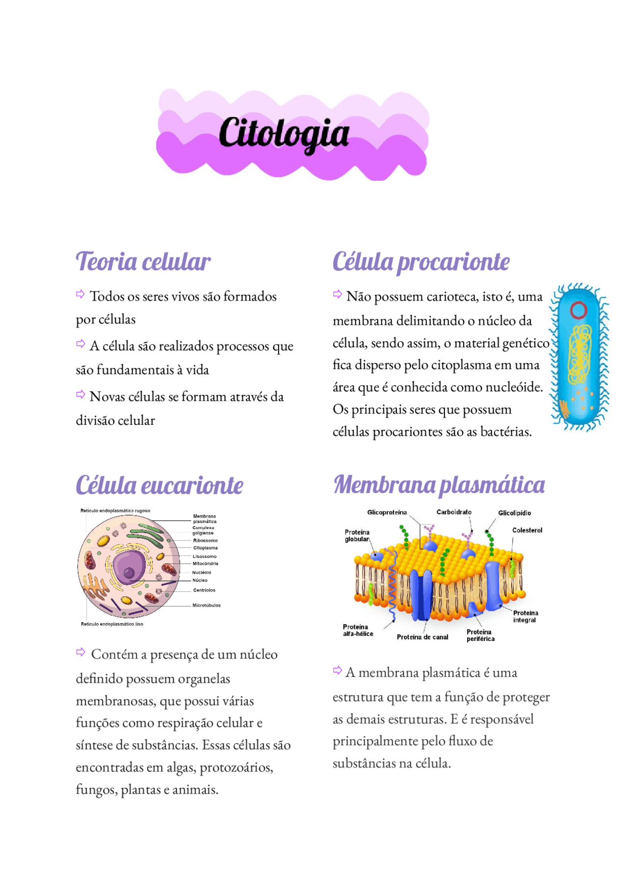 Citologia Básica.pdf | Resumos Biologia | Docsity