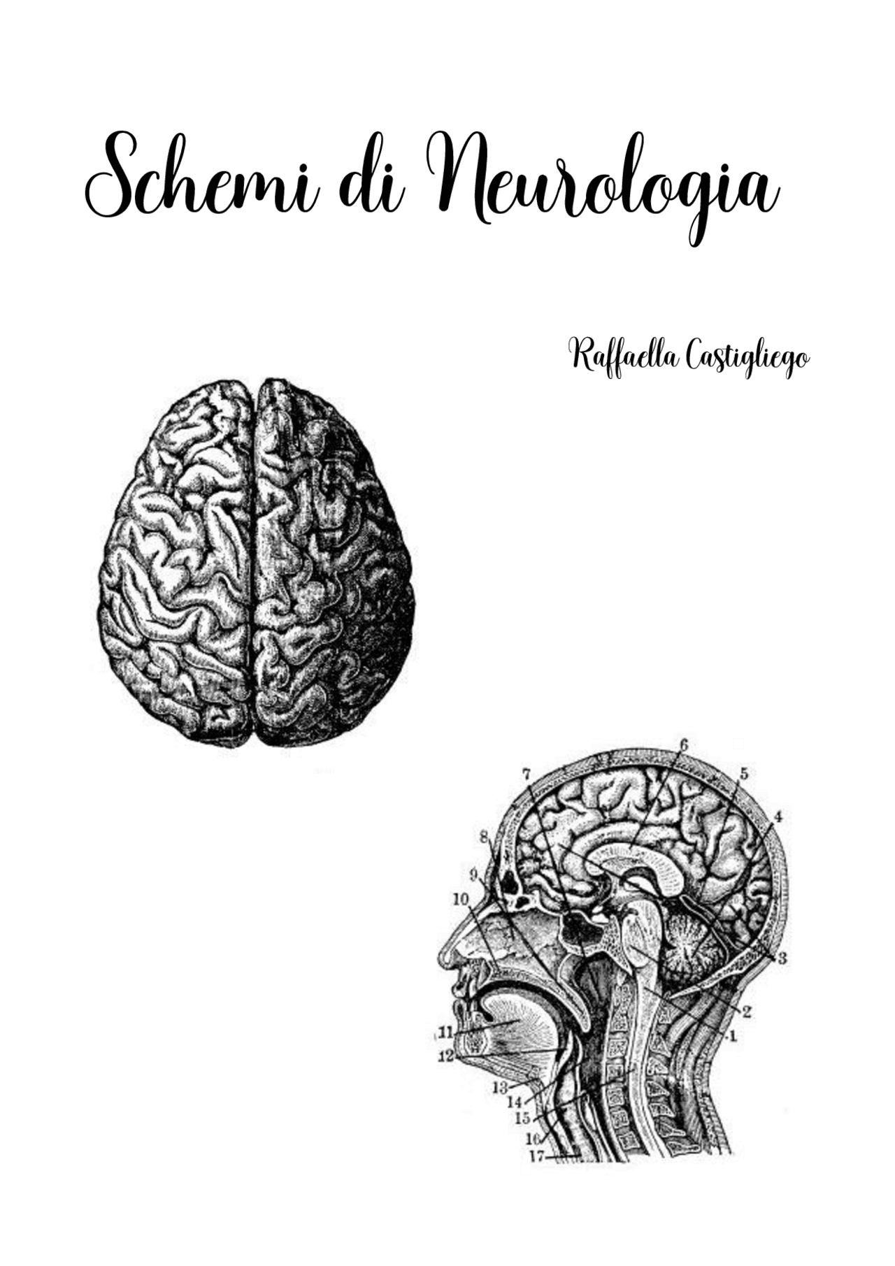 Schemissimi Di Neurologia Elena Pegoraro Schemi E Mappe Concettuali