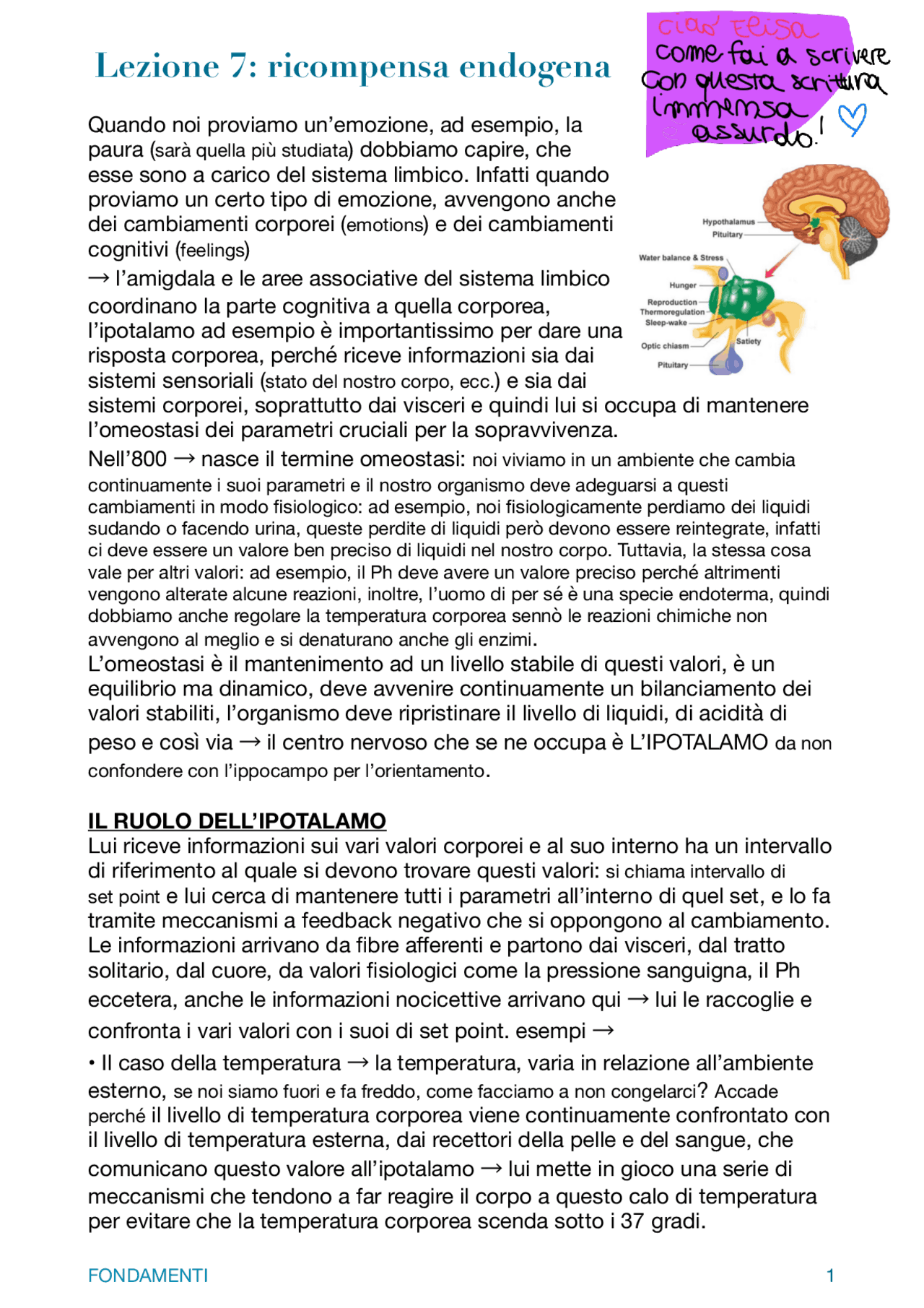 Appunti Del Terzo Modulo Appunti Di Fondamenti Anatomo Fisiologici