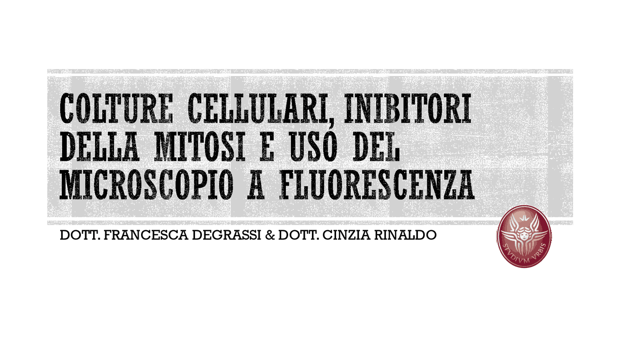 COLTURE CELLULARI - POWER POINT | Slide di Elementi di storia dell'arte ...