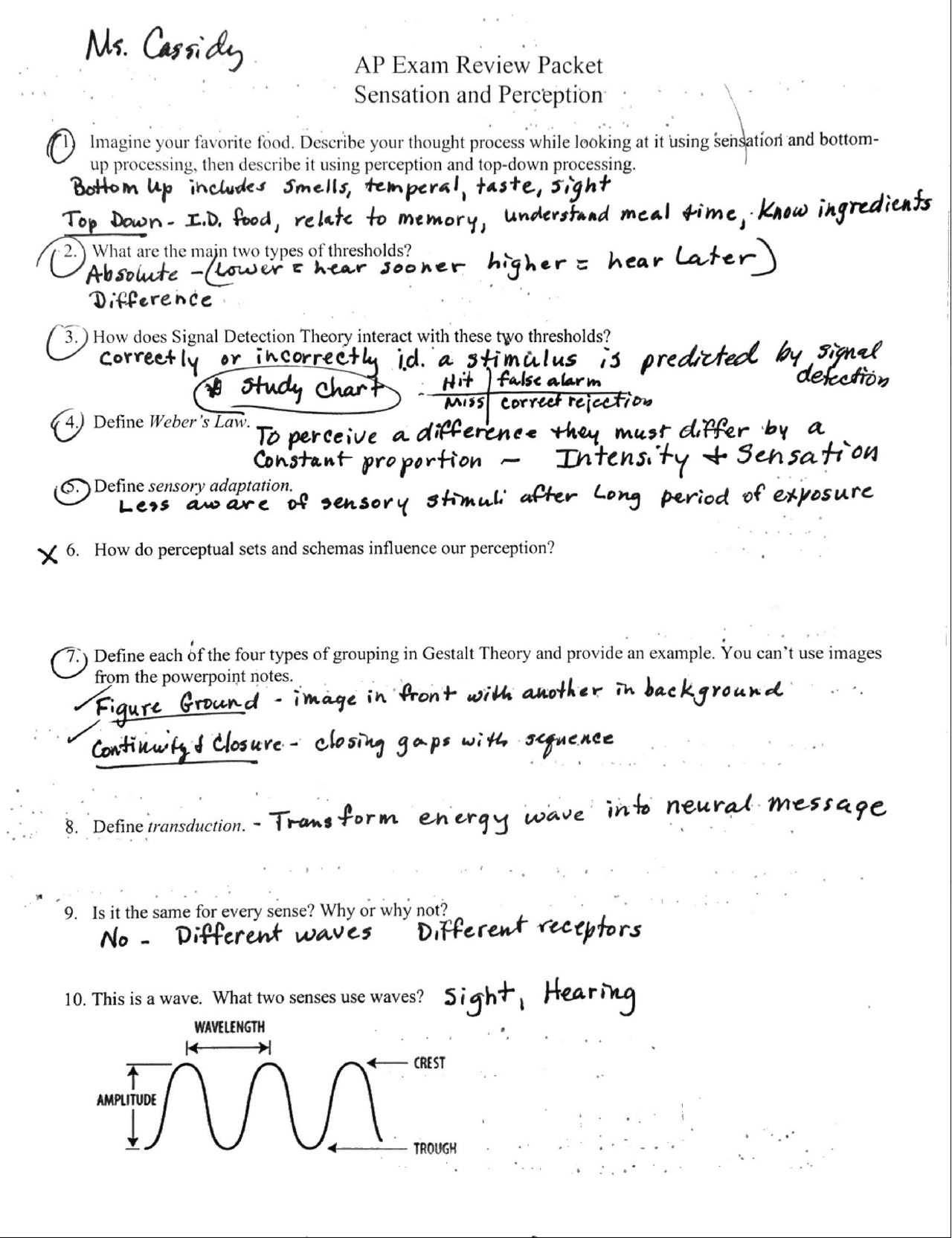 Ap exam packet review Sensation and perception | Study notes Psychology ...
