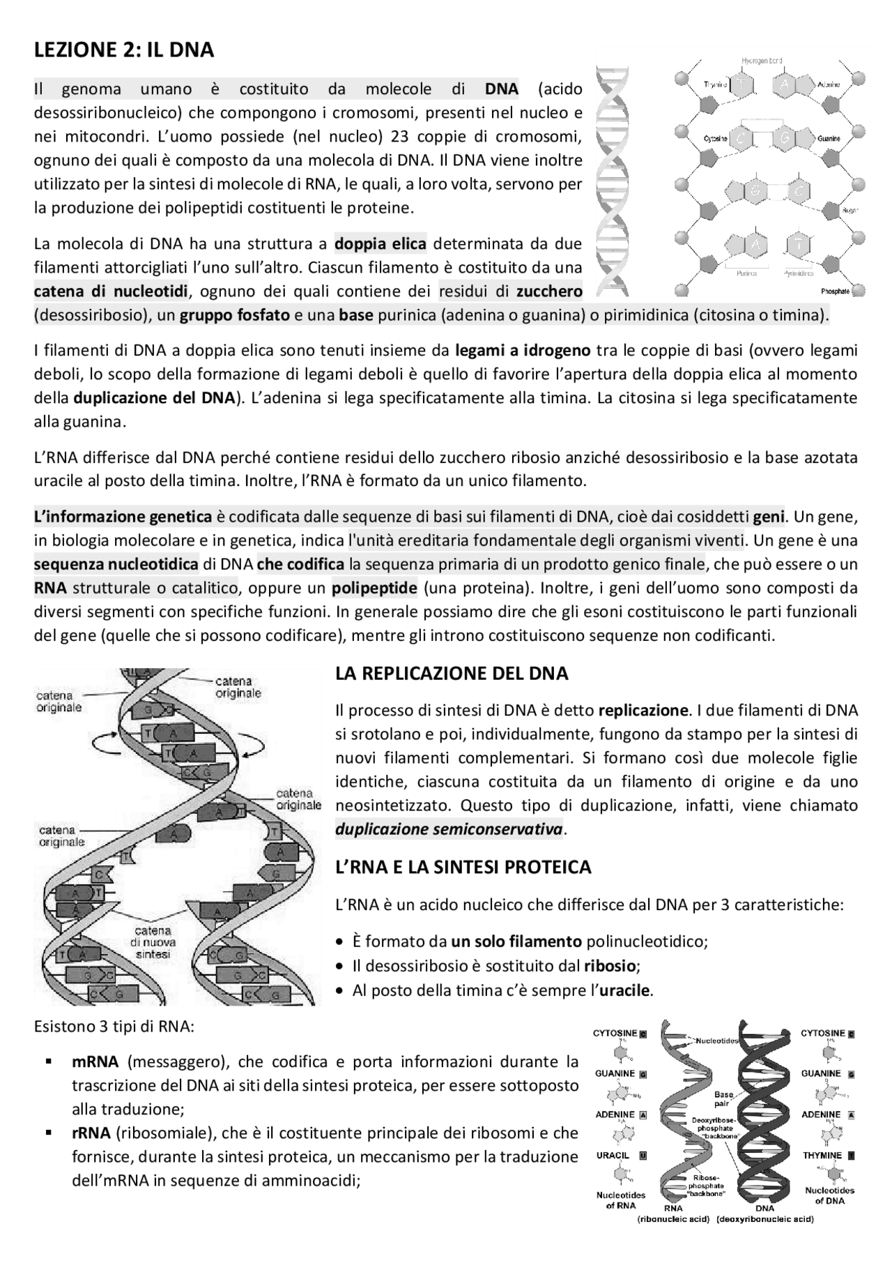Genetica Medica Cdl Infermieristica Appunti Di Genetica Docsity
