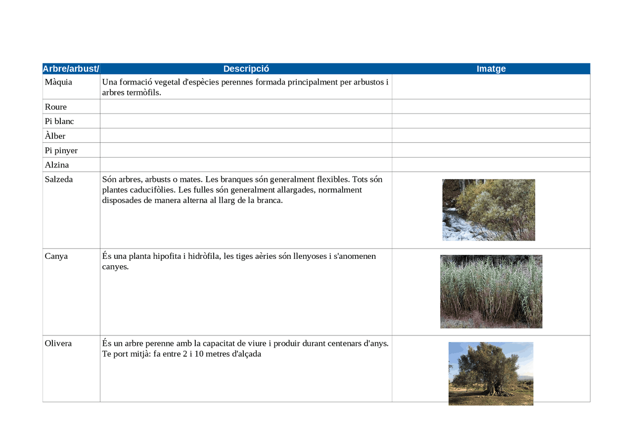 Apuntes Para Aprender Fail I Rapidp Apuntes De Lengua Y Literatura Docsity