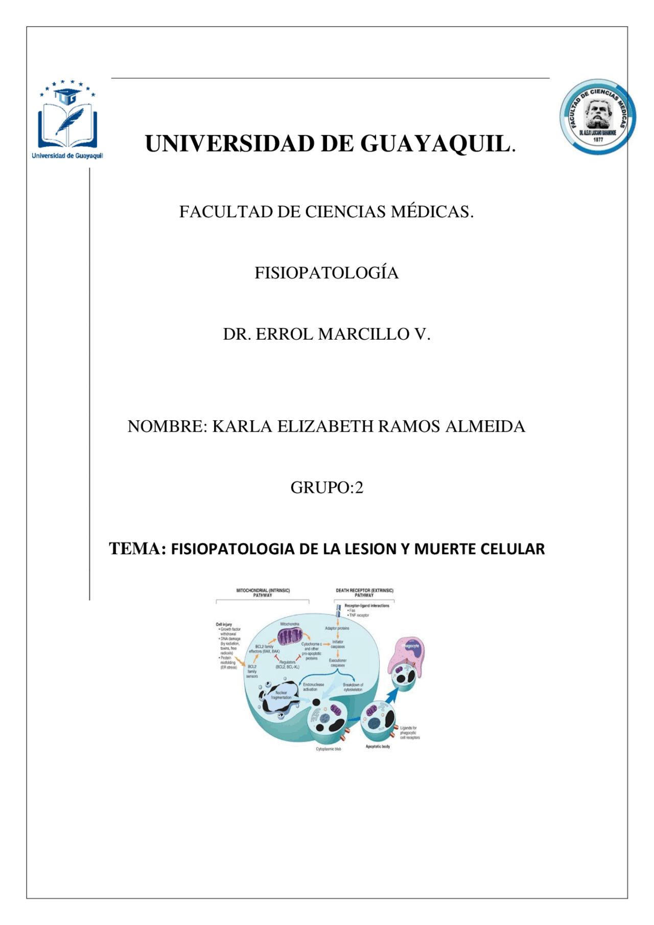 Lesion Y Muerte Celular Monografías Ensayos De Fisiopatología Docsity
