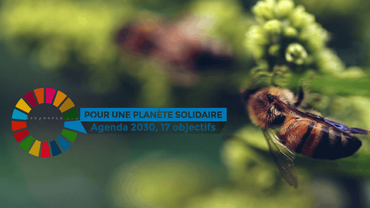 Ppt Sullagenda 2030 In Francese Slide Di Francese Docsity