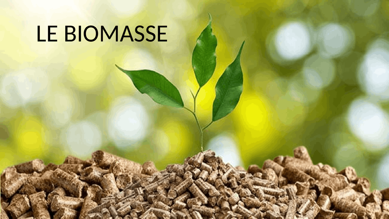 Le biomasse: definizione, classificazione, utilizzo, vantaggi e ...