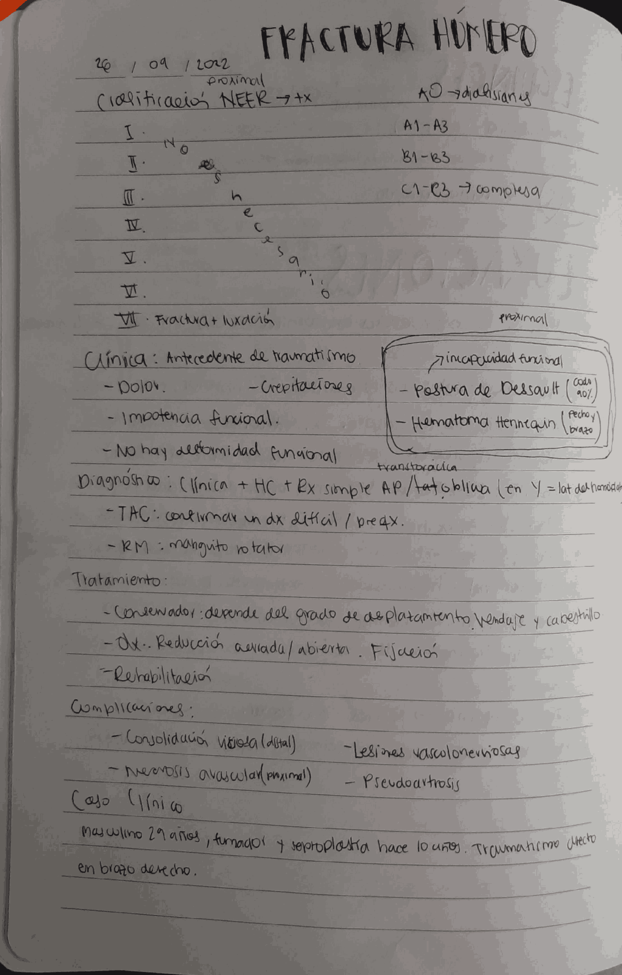 Apuntes De Músculo Esqueletico Apuntes De Anatomía Docsity