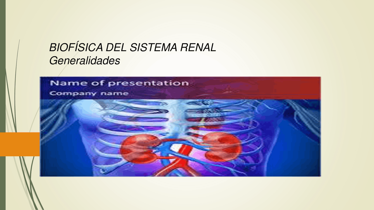 Mecanismos biofísicos del sistema renal. | Diapositivas de Biofísica ...