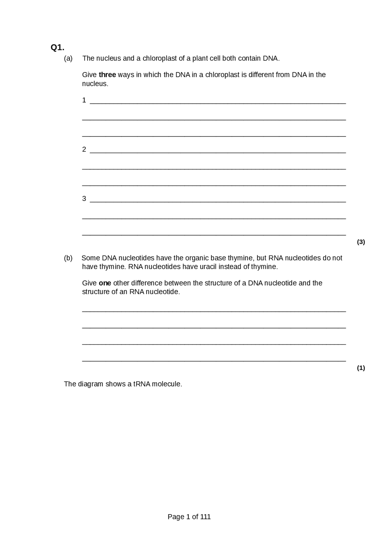 Biology A- Level Exam questions | Exams Biology | Docsity