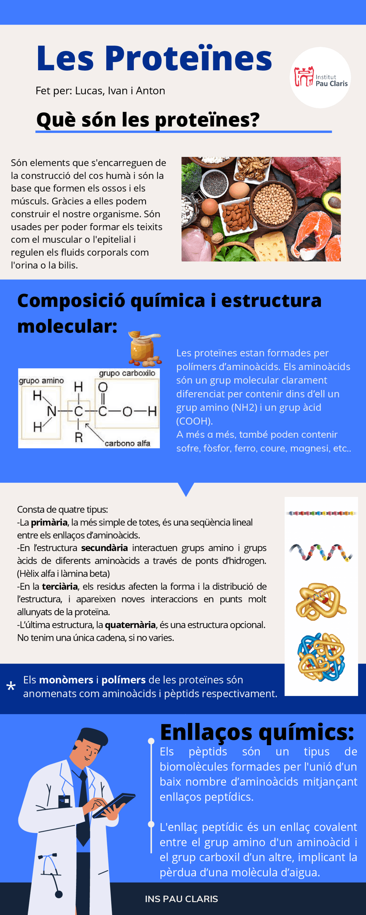 Las Proteinas Y Sus Funciones Apuntes De Biología Docsity