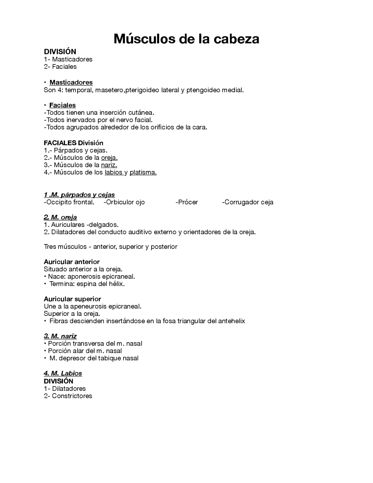 Músculos De La Cabeza Resumen Apuntes De Anatomía Docsity