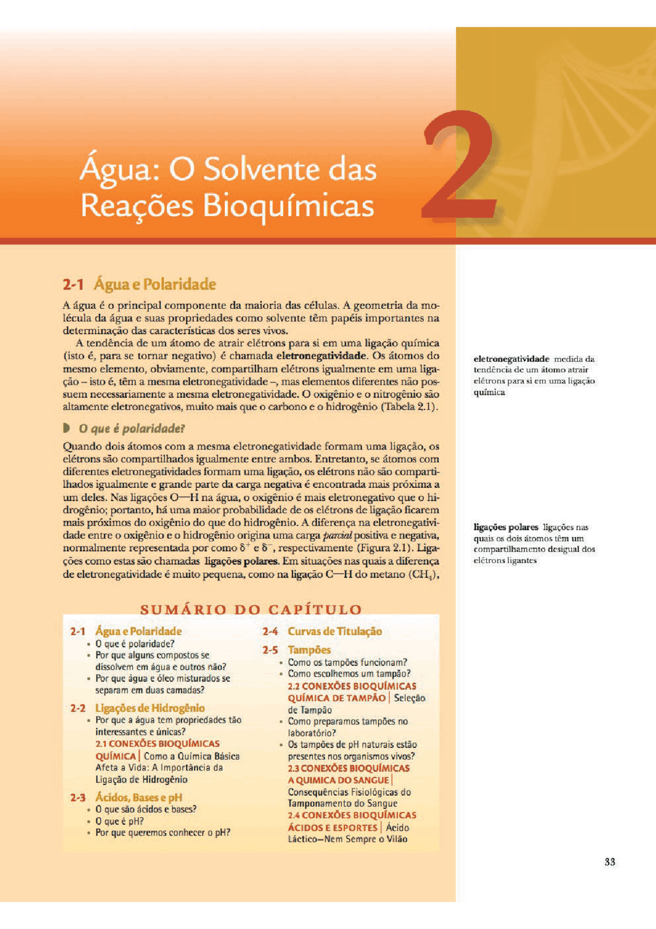 Capitulo Do Livro De Bioquímica Resumos Bioquímica Docsity