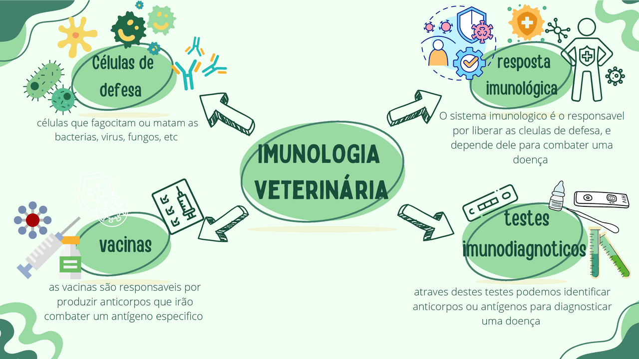Importância da imunologia | Esquemas Imunologia | Docsity