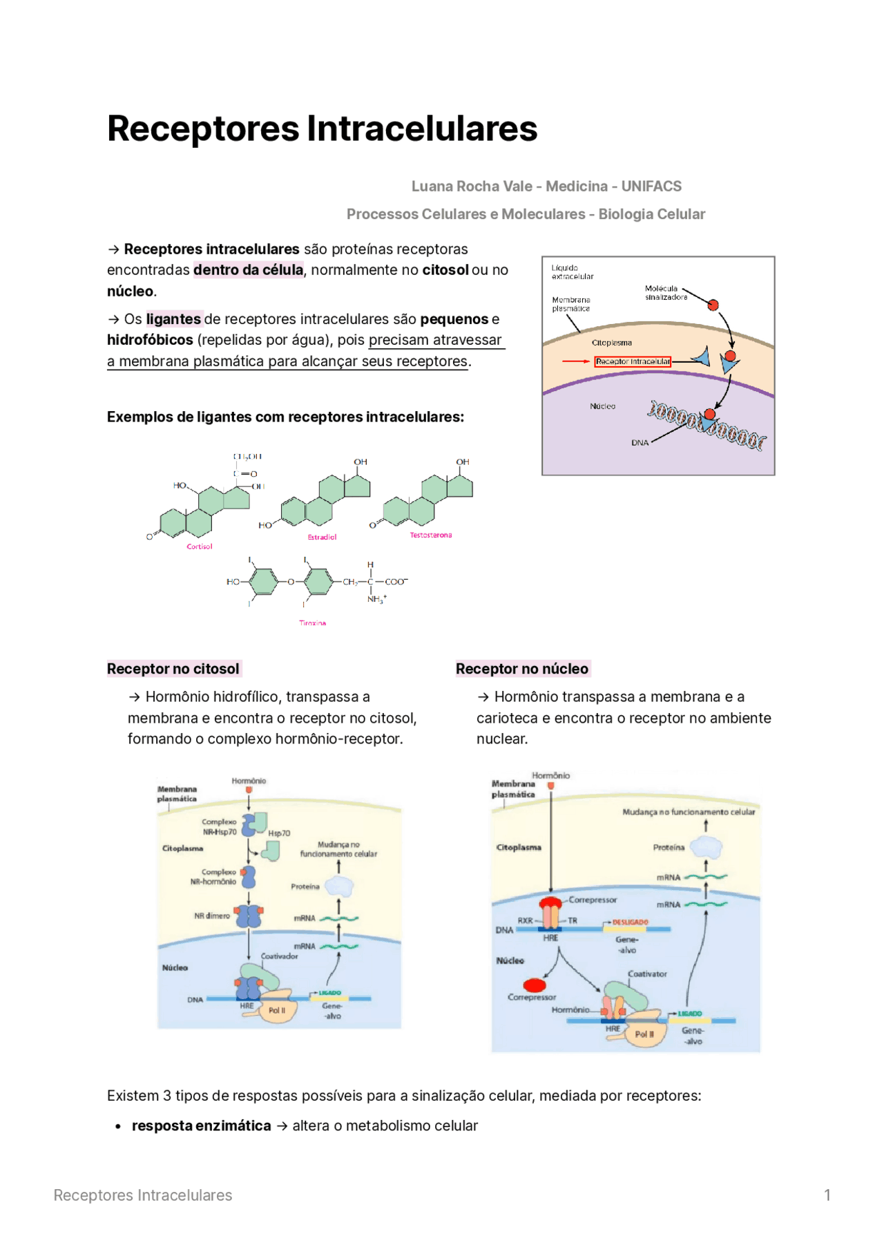Receptores Intracelulares | Esquemas Biologia Celular e Molecular | Docsity