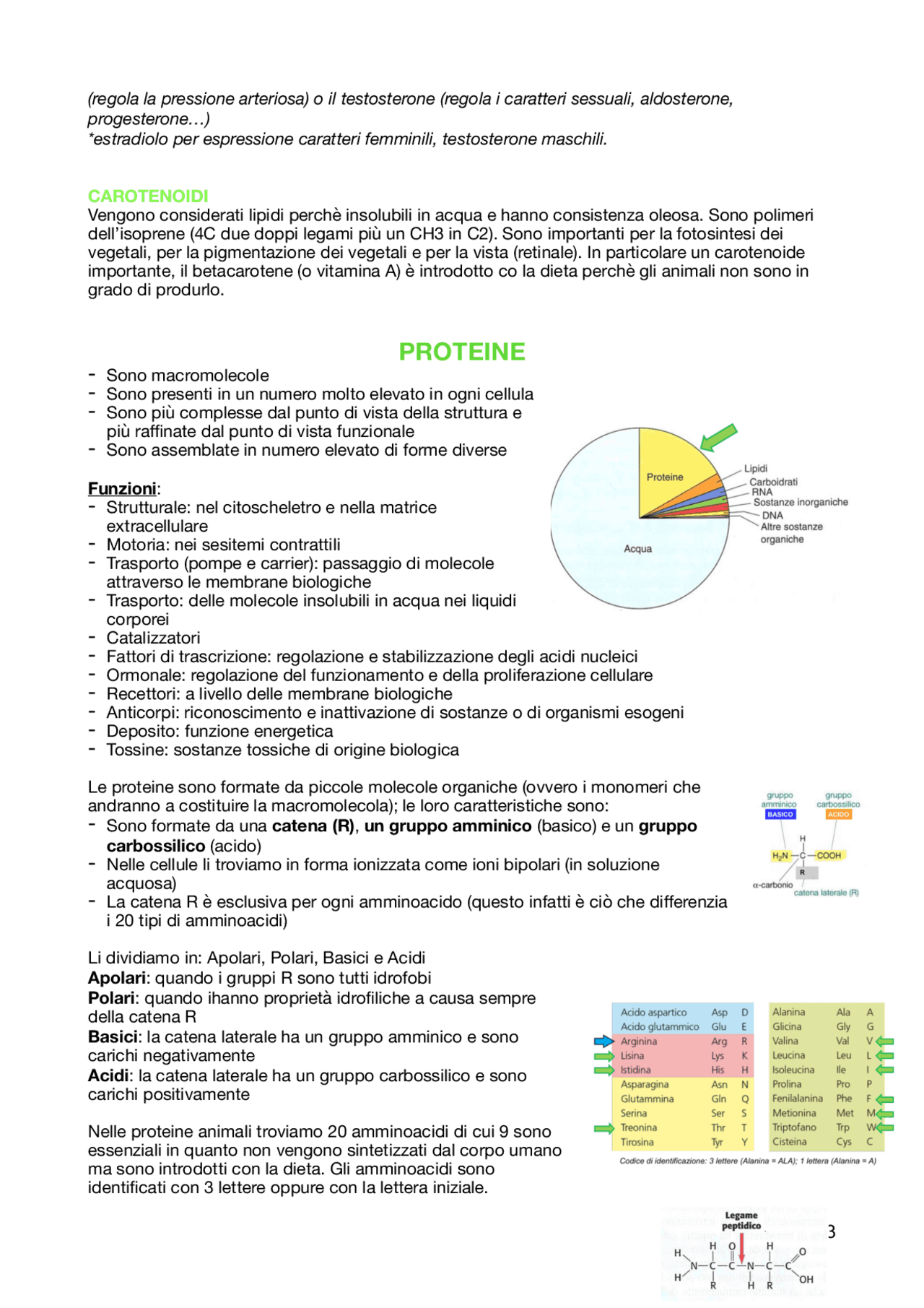 Biologia animale pt3 | Sbobinature di Biologia Animale | Docsity