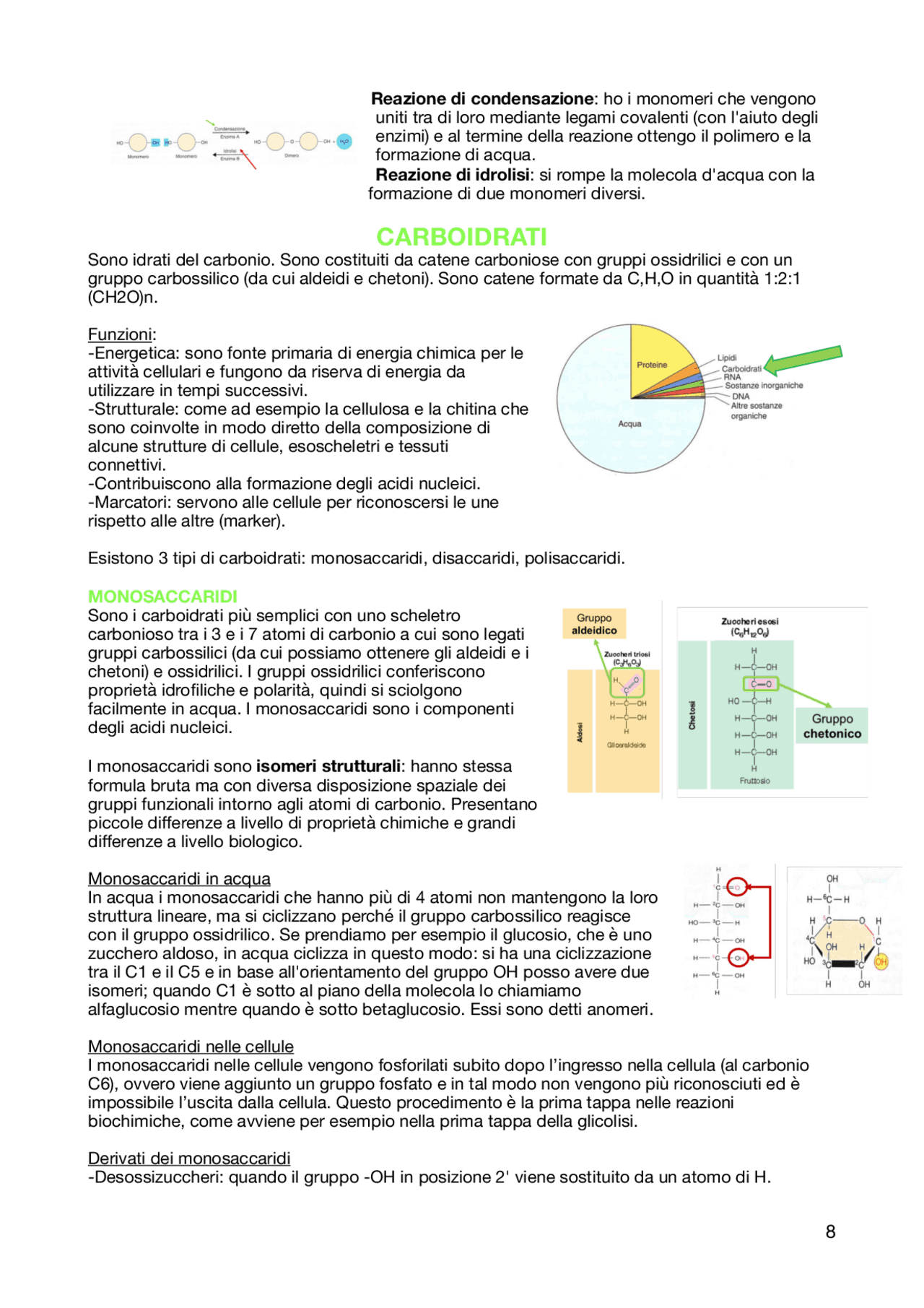 Biologia animale pt1 | Sbobinature di Biologia Animale | Docsity