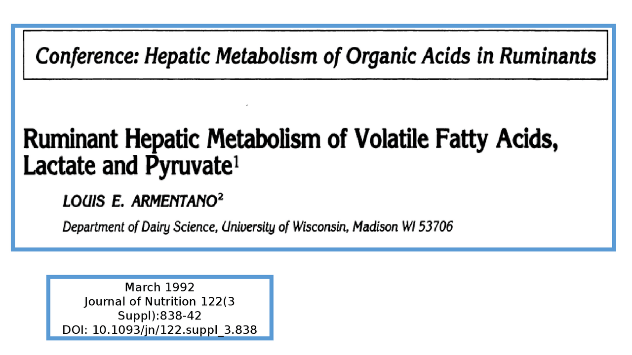 Metabolismo Hepático Ruminantes Slides Bioquímica Docsity