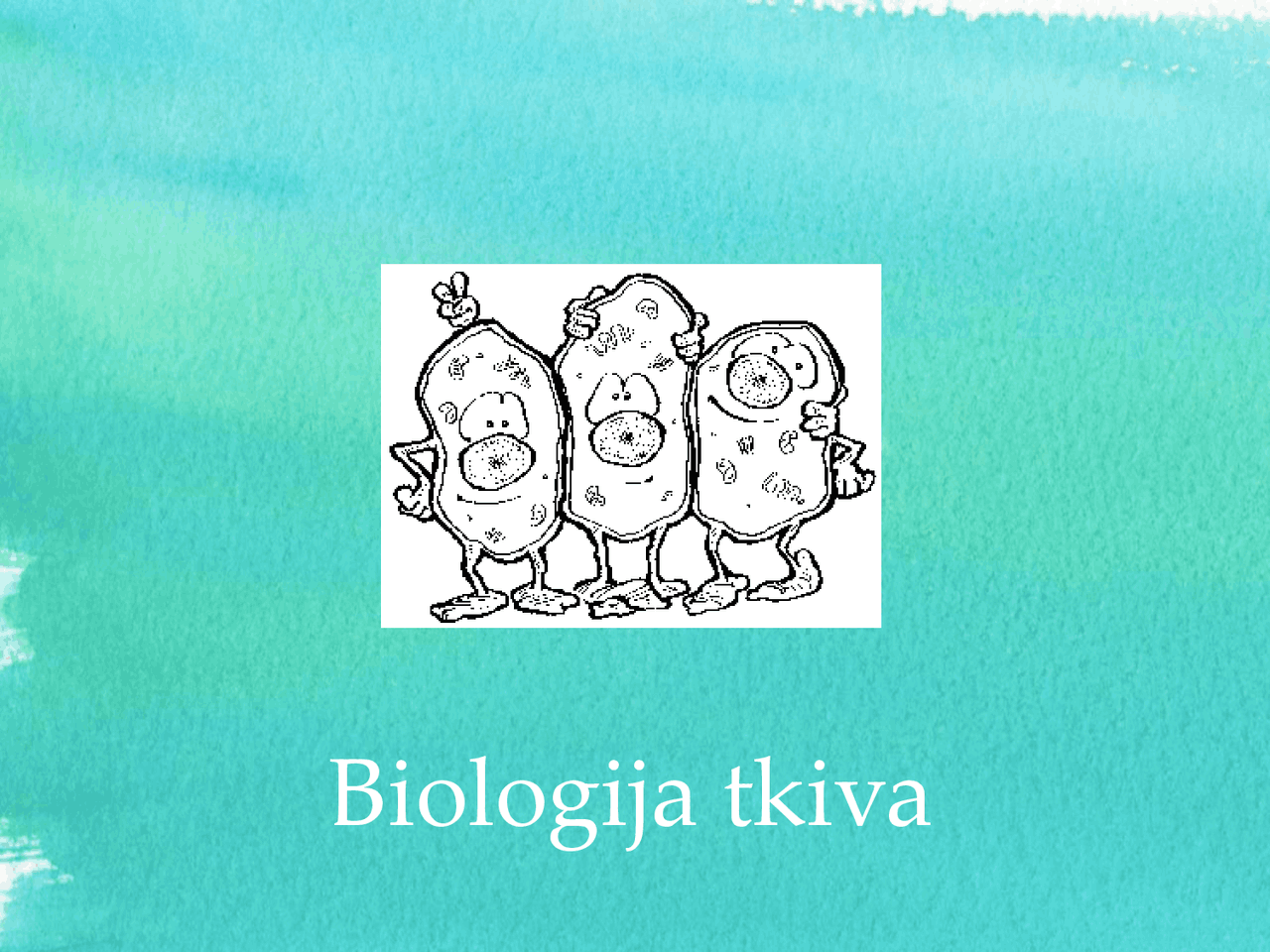 Biologija Tkiva Ispiti Predlog Biologija Docsity