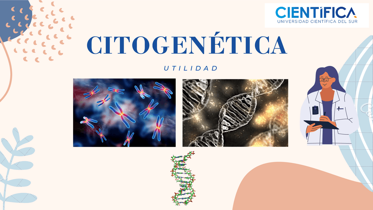 CITOGENETICA UCSUR-2019 | Apuntes de Genética Médica | Docsity