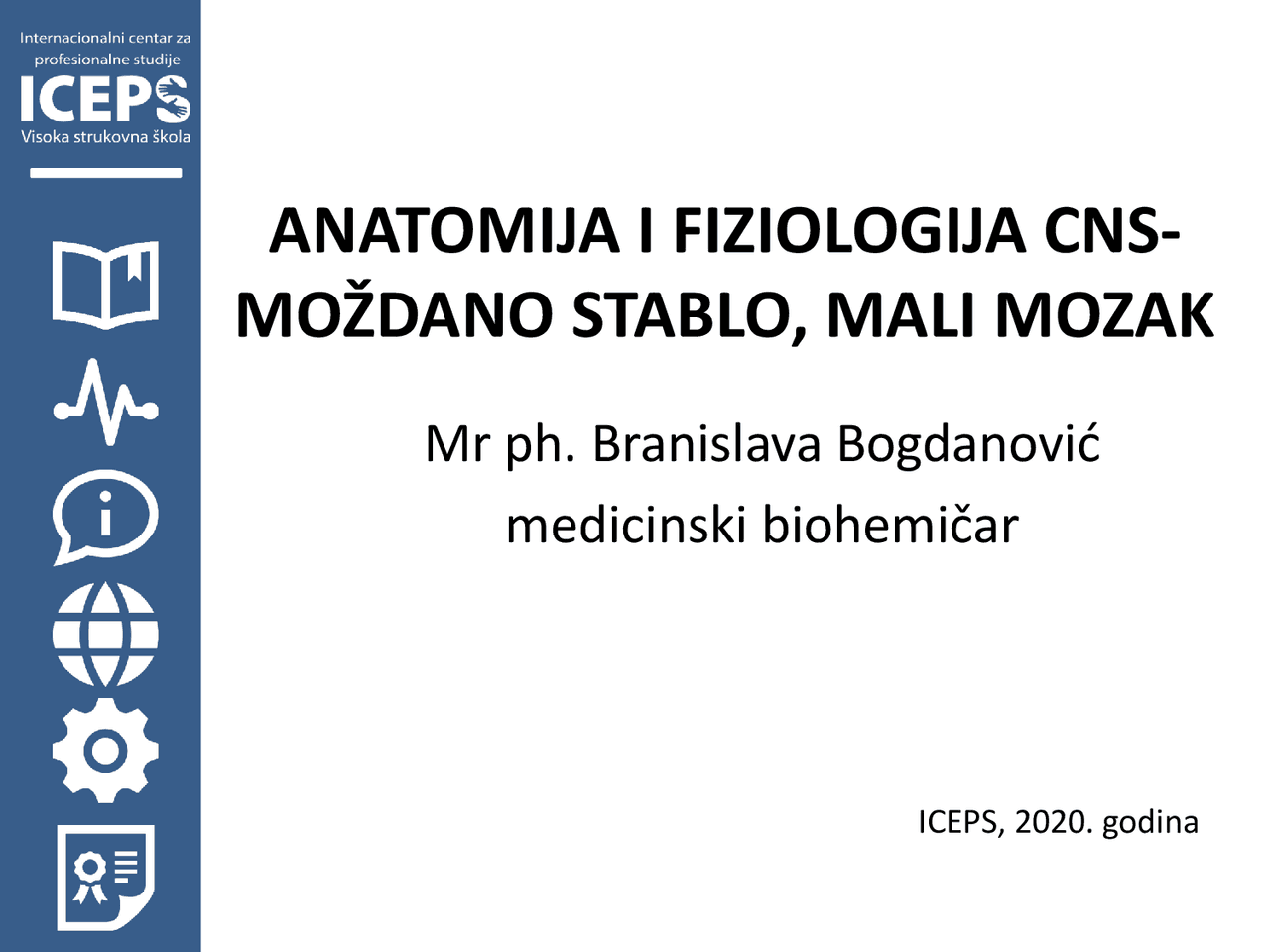 MOŽDANO STABLO, MALI MOZAK | Slajdovi' predlog Anatomija i fiziologija ...