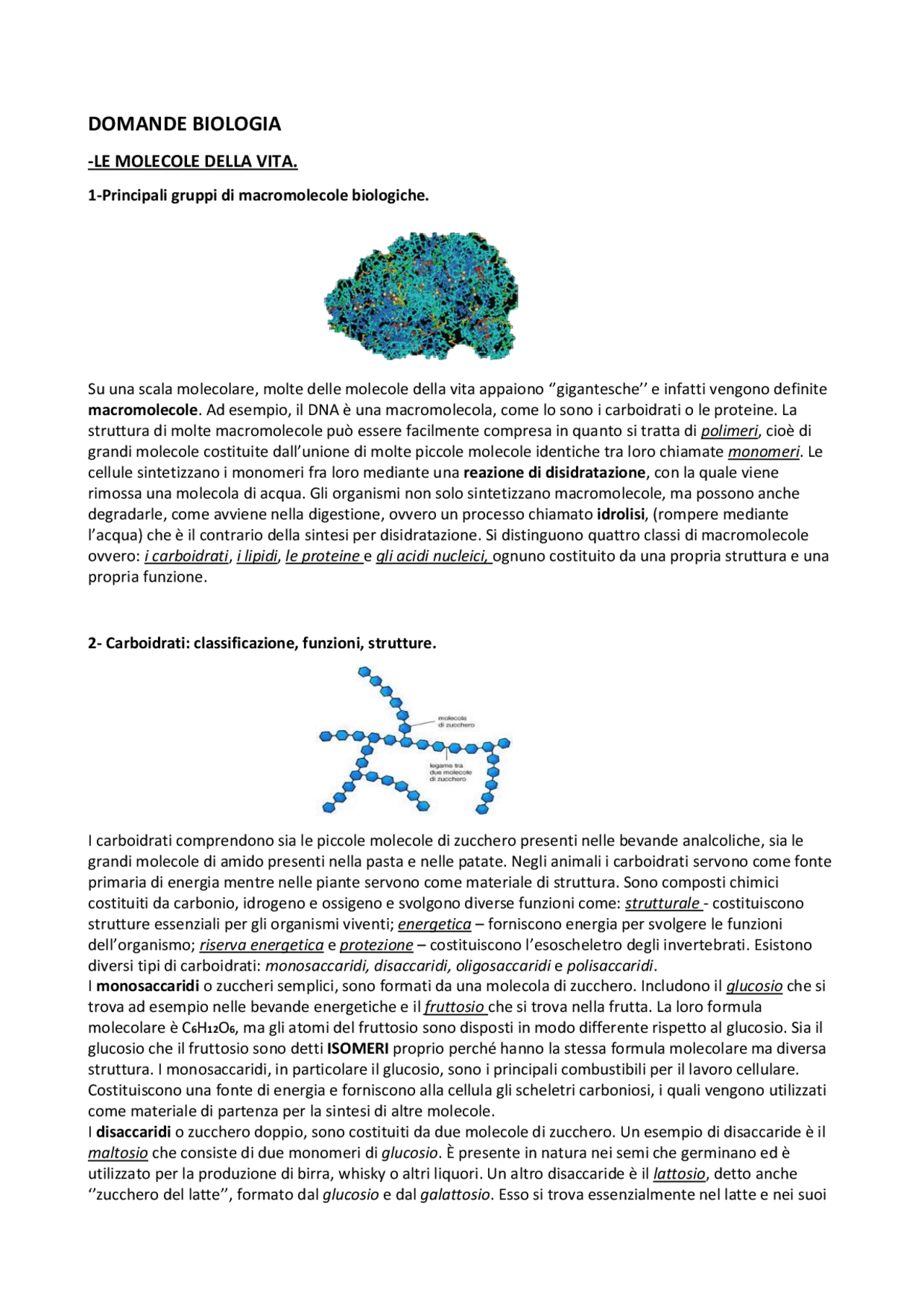 Domande di biologia riassuntive | Appunti di Biologia | Docsity
