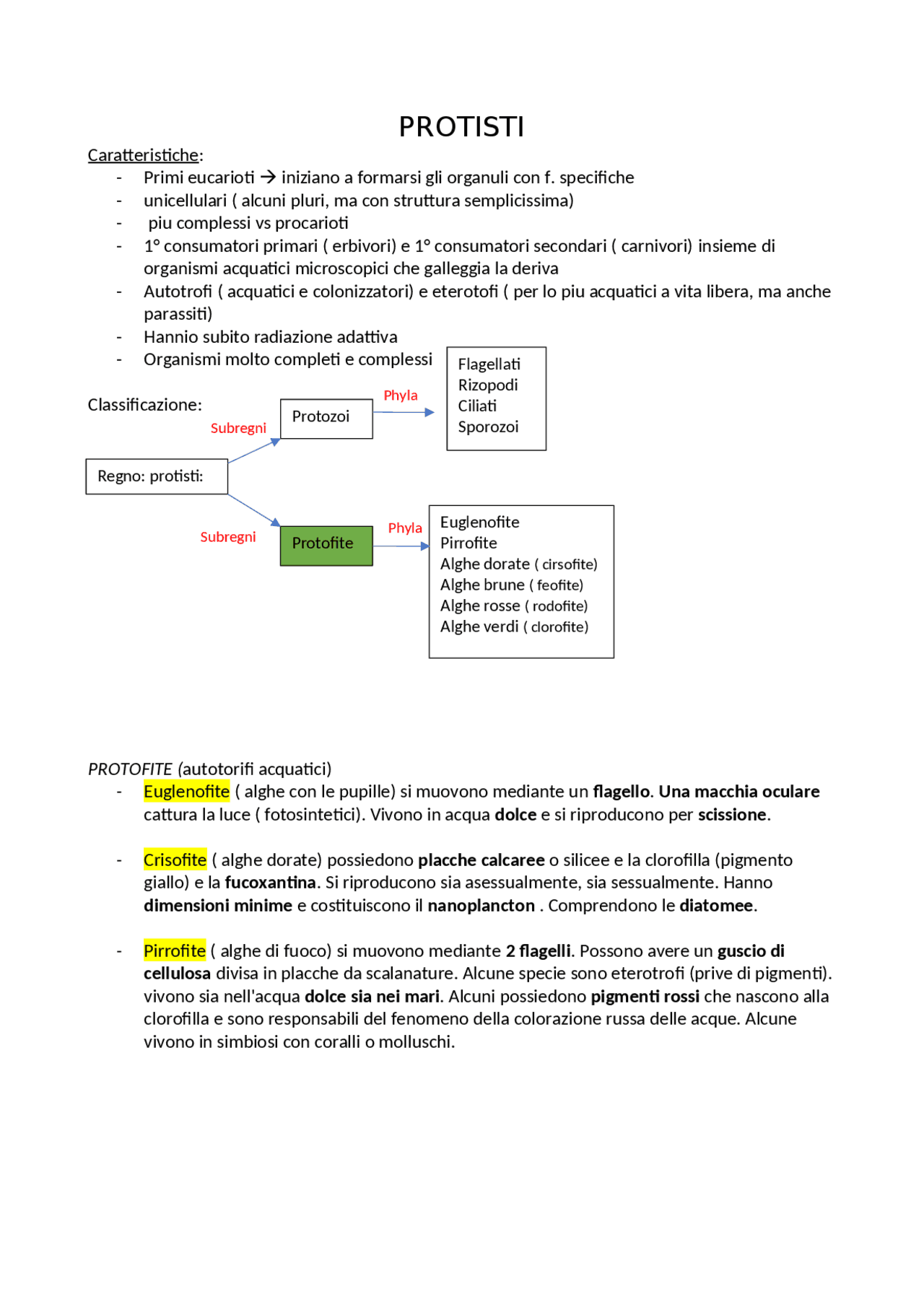 Riassunti Protisti Liceo Schemes And Mind Maps Biology Docsity
