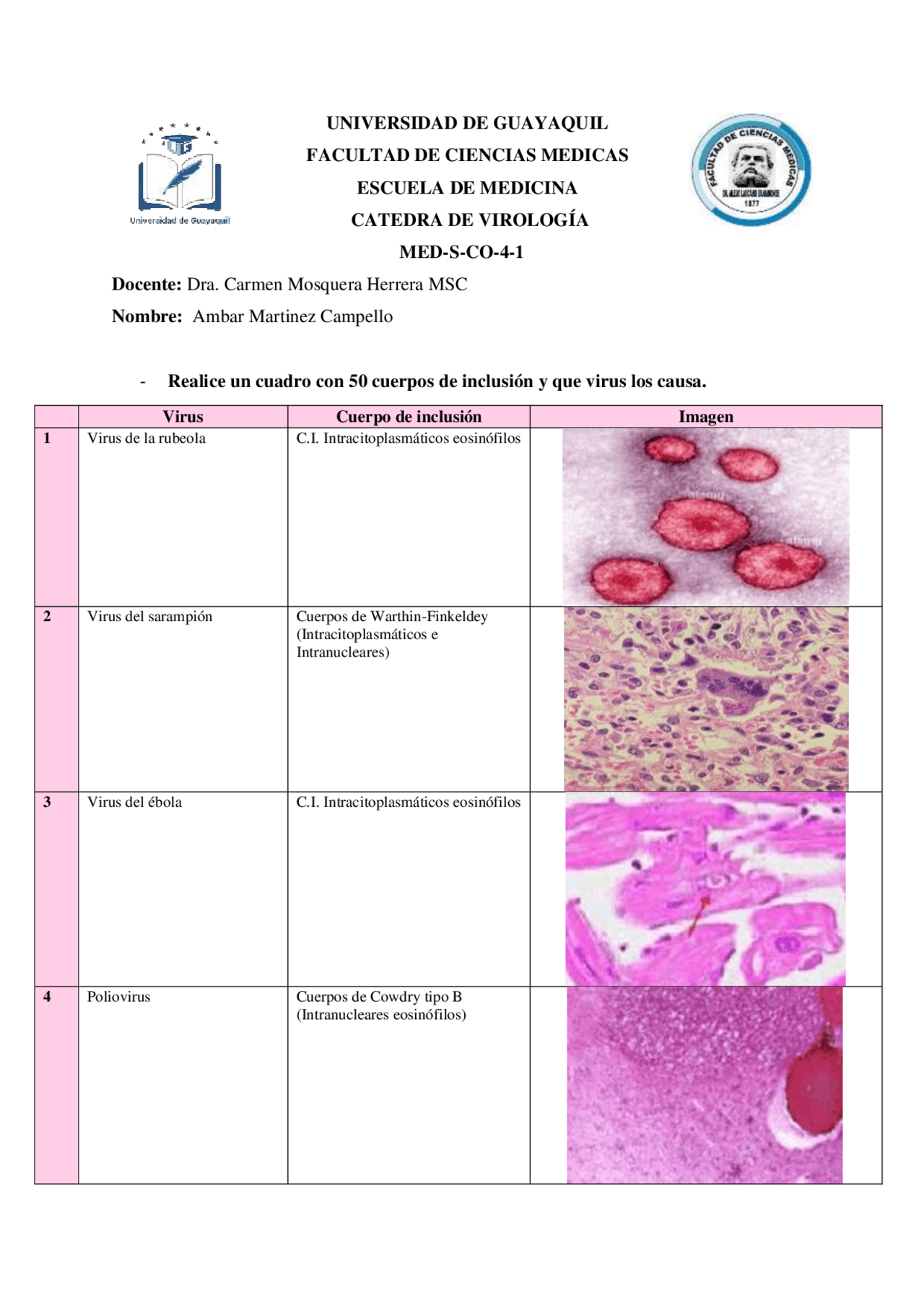 Cuerpos Inclusivos Y Virus Que Lo Causa Apuntes De Virología Docsity