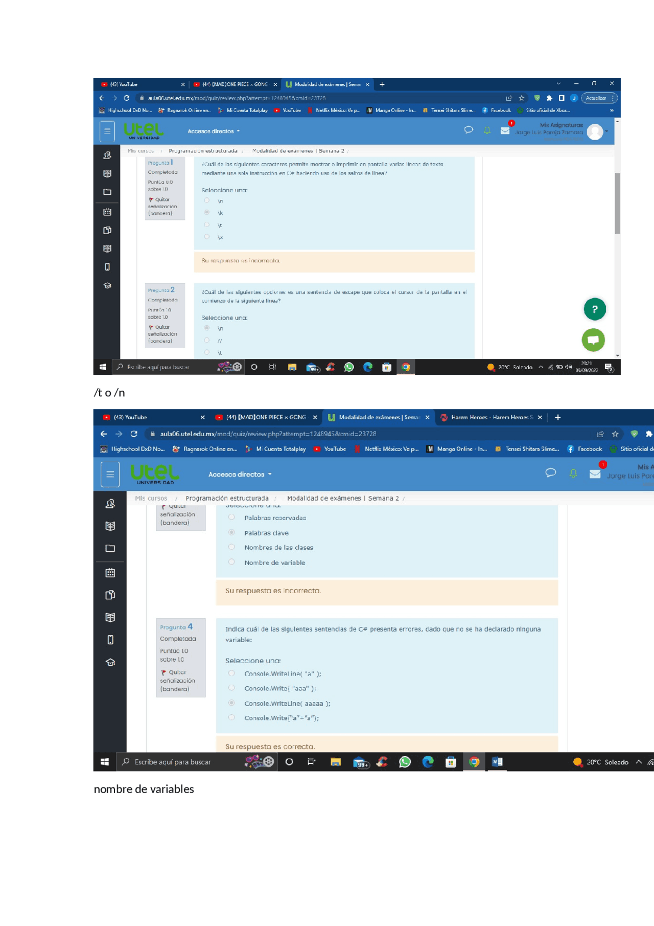 Programación Estructurada Apuntes De Programación Informática Docsity