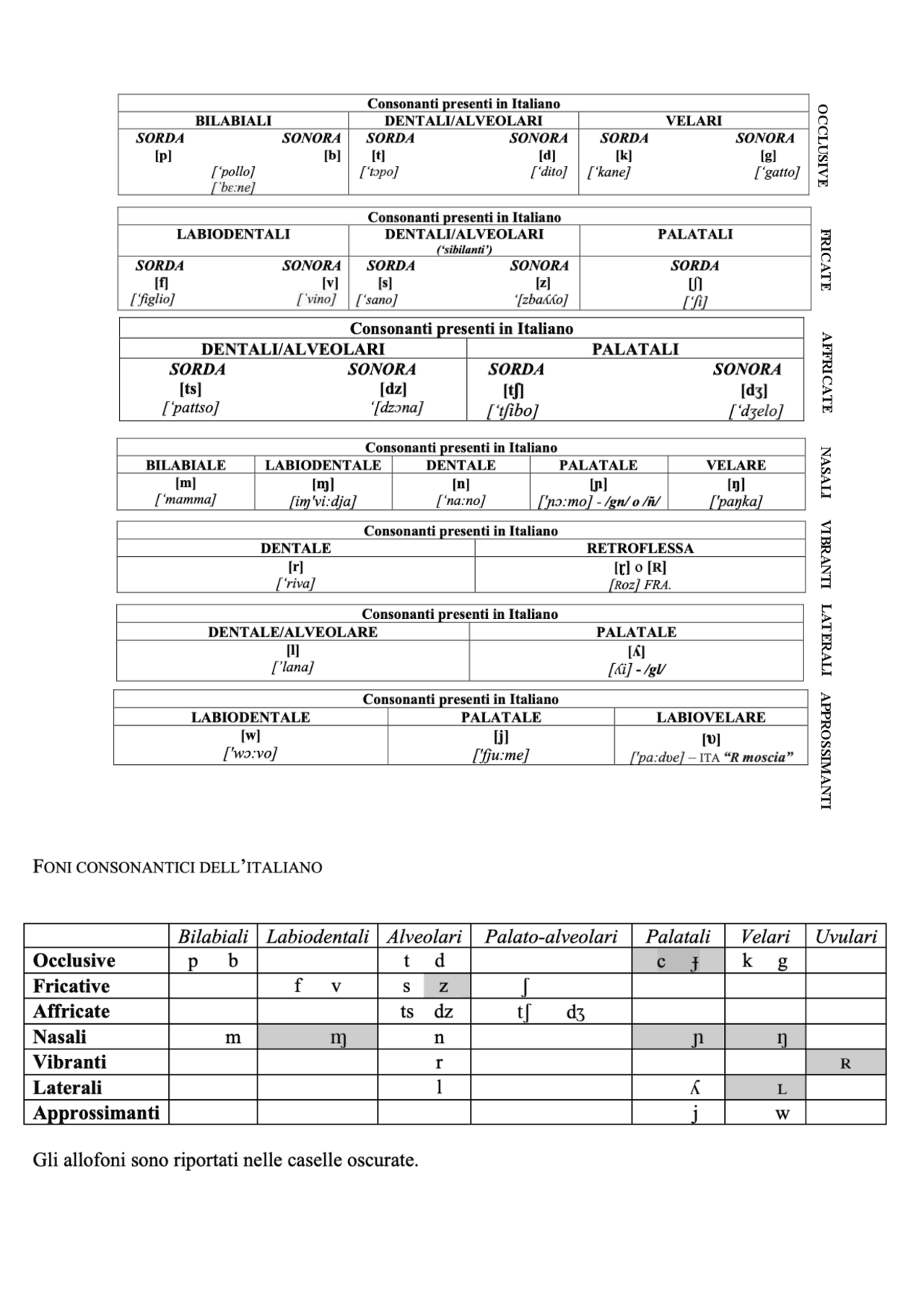 Vocali e consonanti ITALIANE | Schemi e mappe concettuali di ...