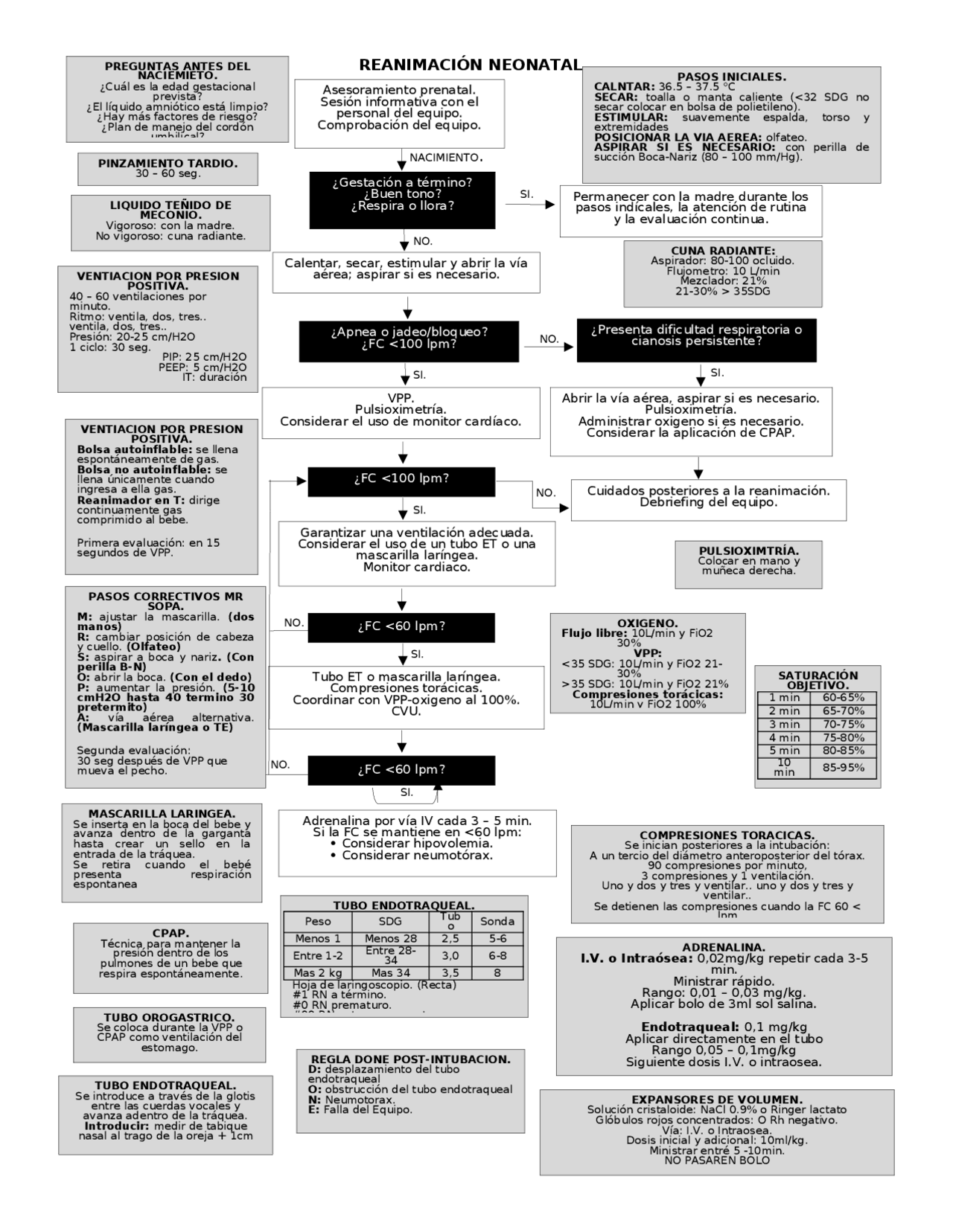 Reanimación Neonatal Apuntes De Pediatría Docsity