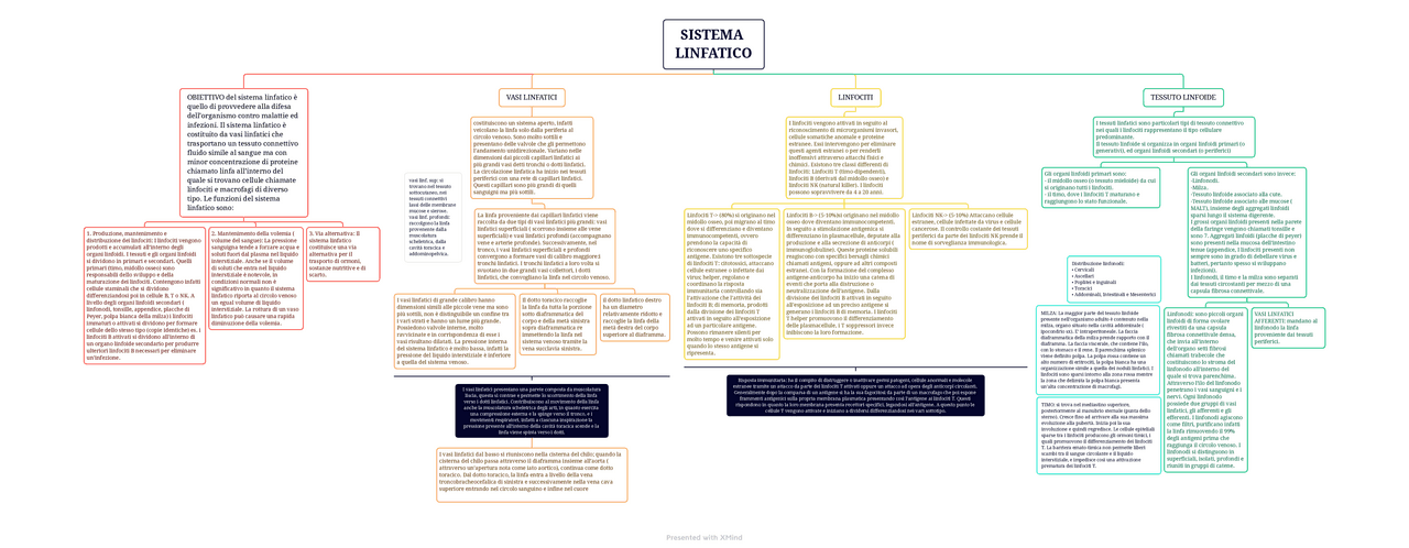 Il Sistema Linfatico Schemi E Mappe Concettuali Di Anatomia Docsity