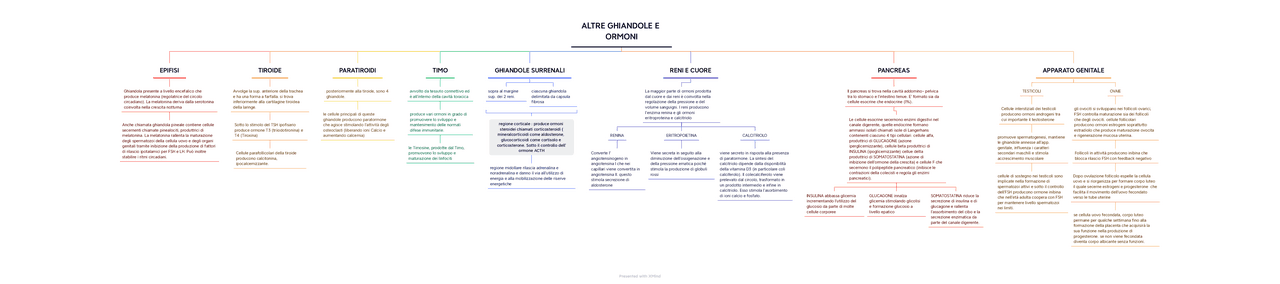 Apparato Endocrino Ormoni Schemes And Mind Maps Of Anatomy Docsity
