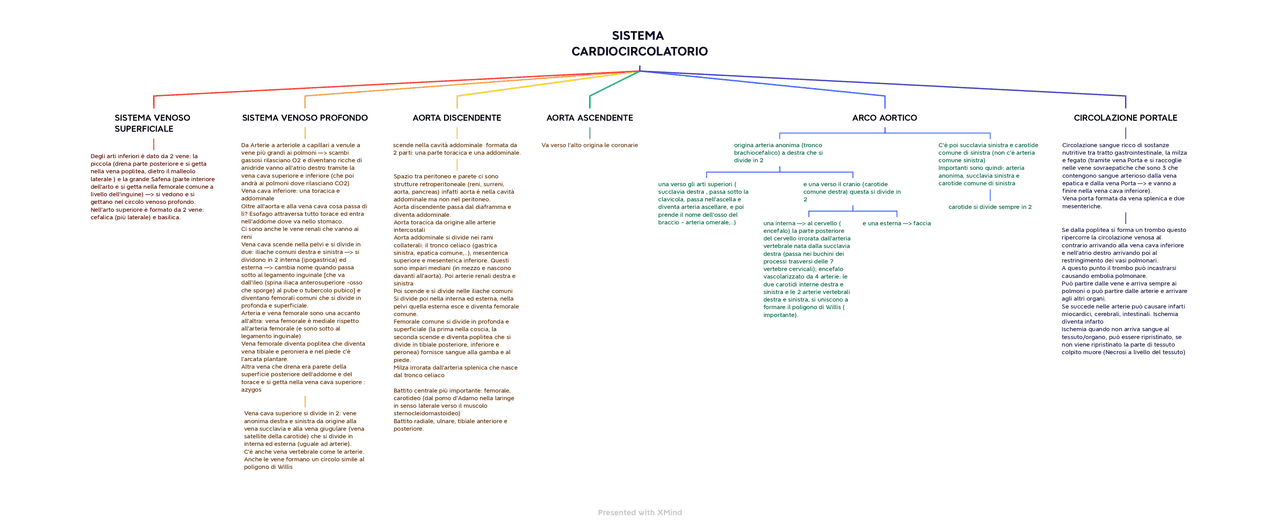 Il Sistema Cardiocircolatorio Schemi E Mappe Concettuali Di Anatomia