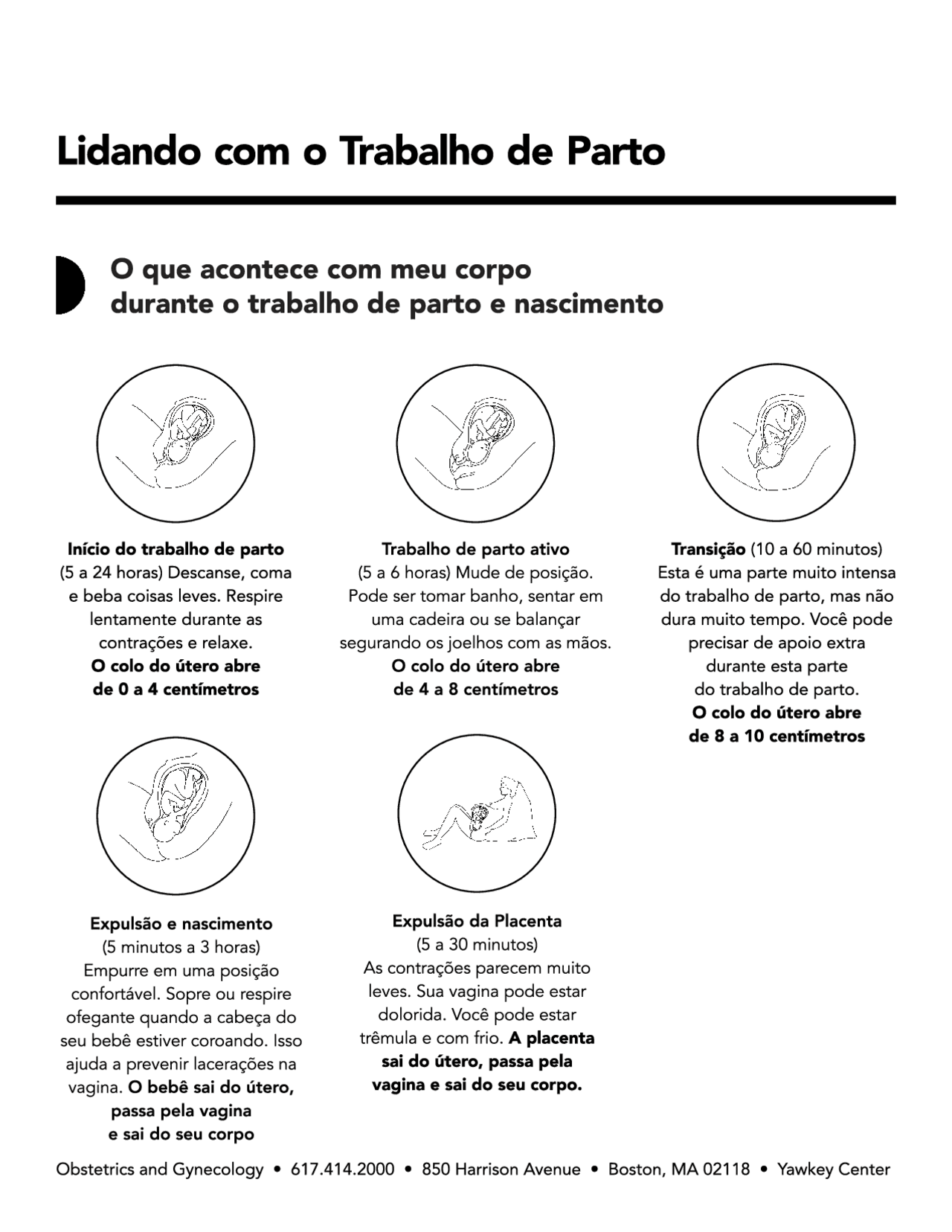 Lidando Com O Trabalho De Parto Resumos Música Docsity