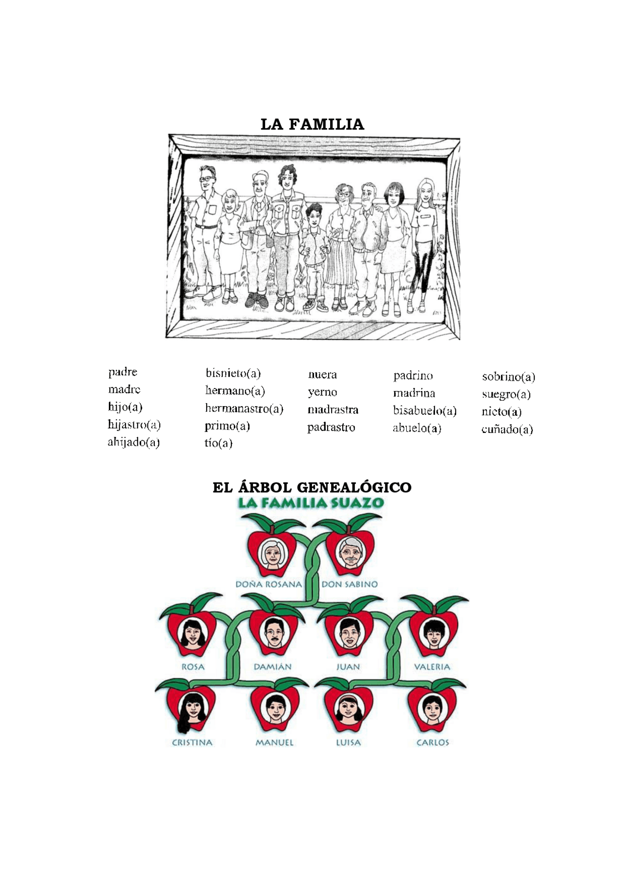 Family tree worksheet in spanish | Schemes and Mind Maps Spanish | Docsity